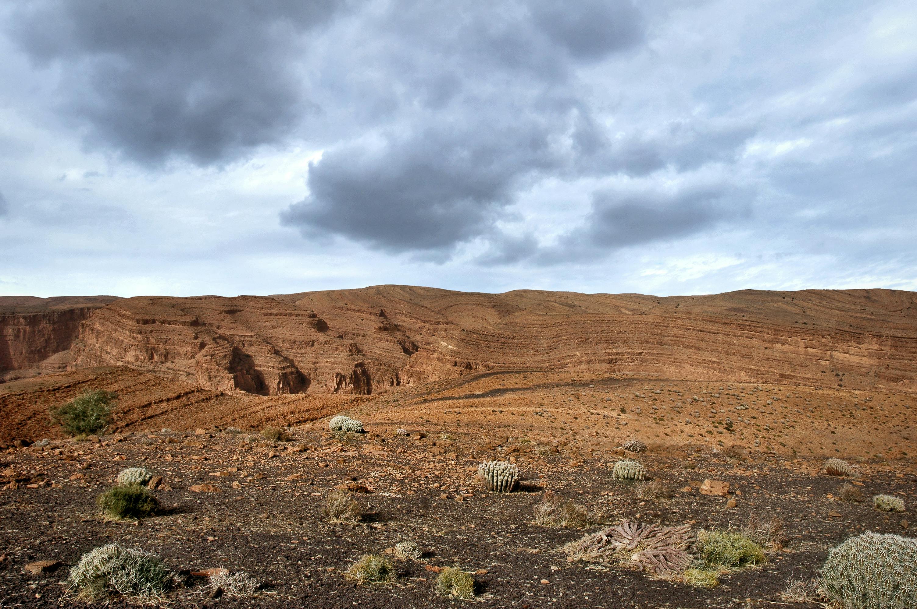 Brown Sandy Field Under Blue and White Cloudy Sky · Free Stock Photo