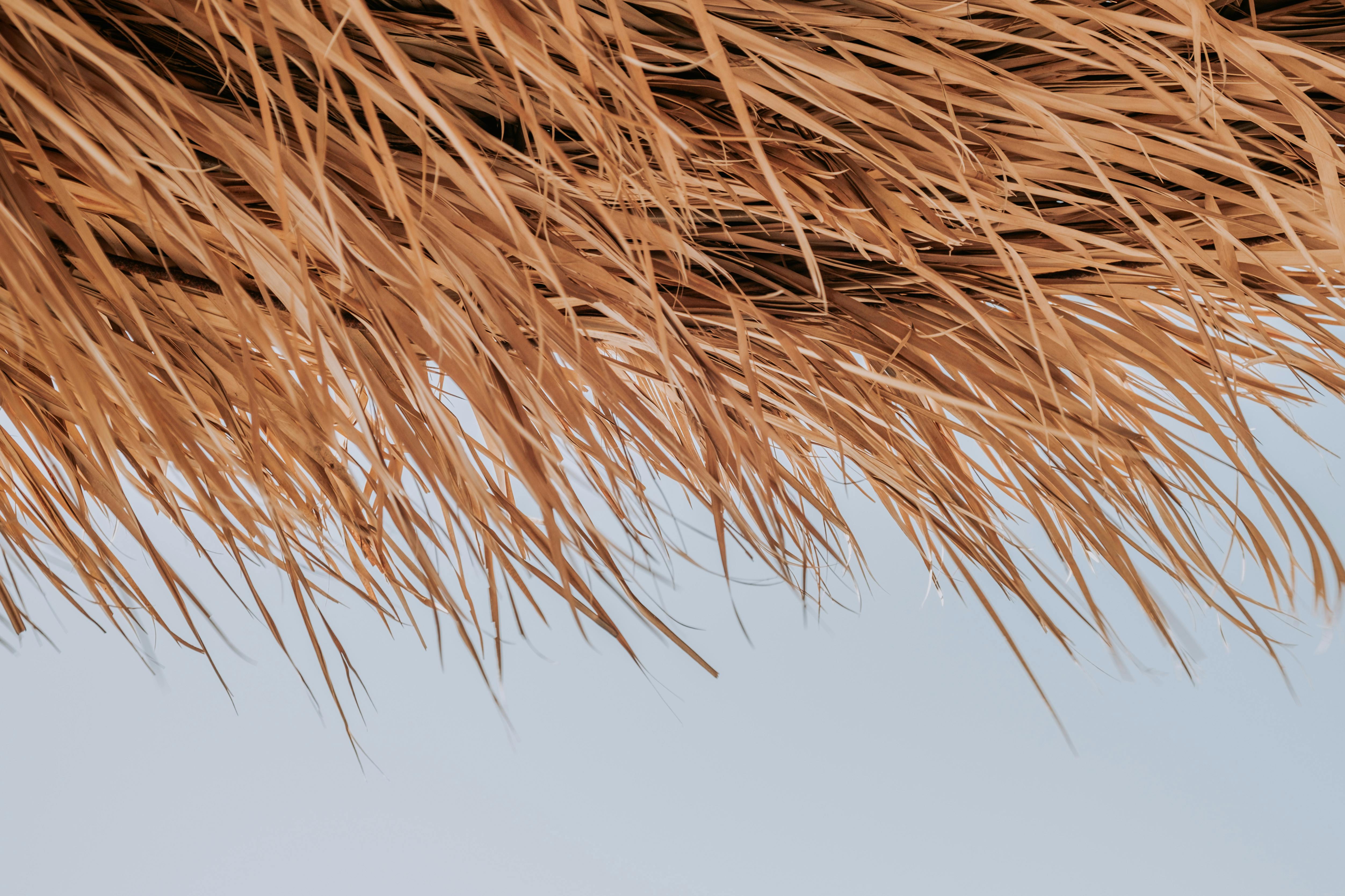 147,454+ Best Free Portfolio background Stock Photos & Images · 100% ...