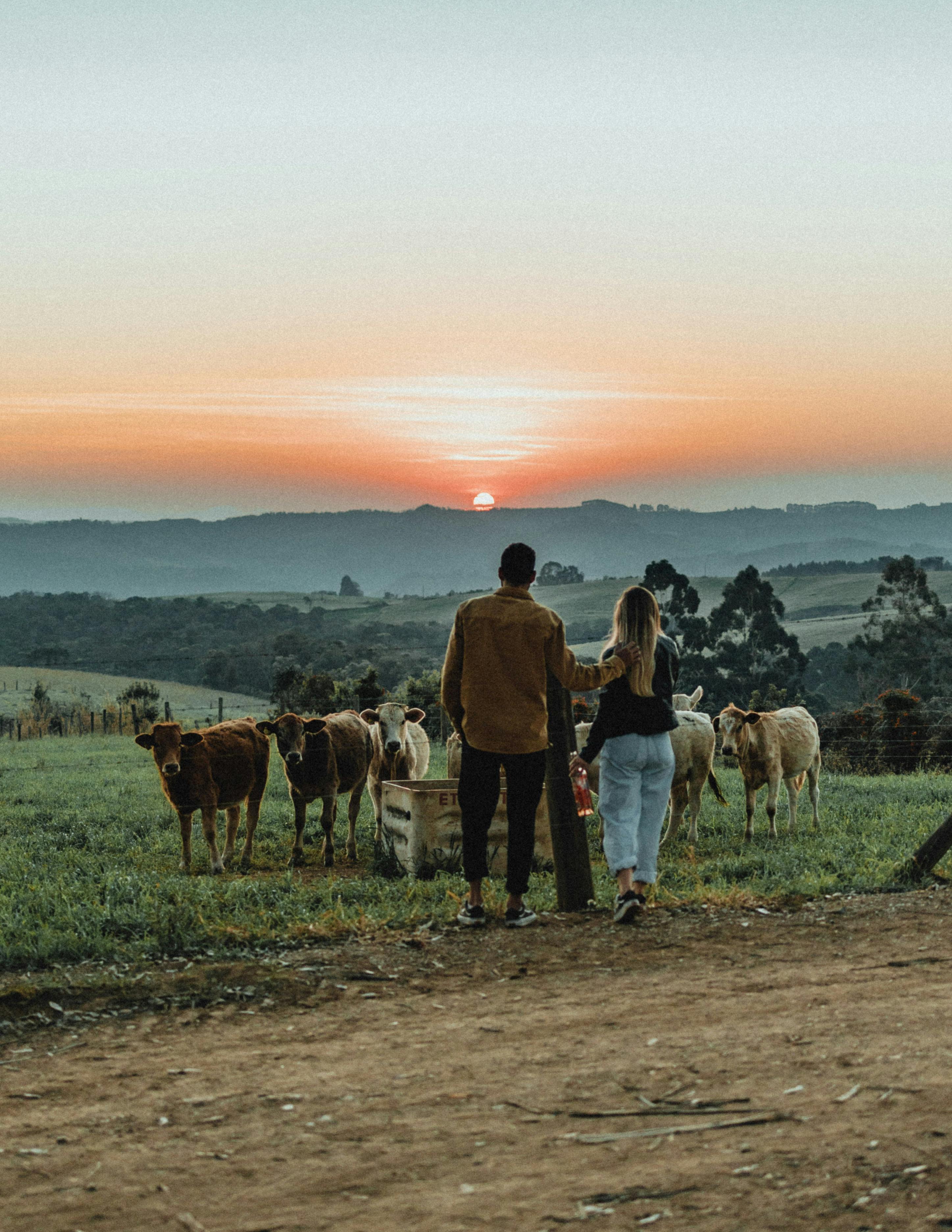 Calves Photos, Download The BEST Free Calves Stock Photos & HD Images