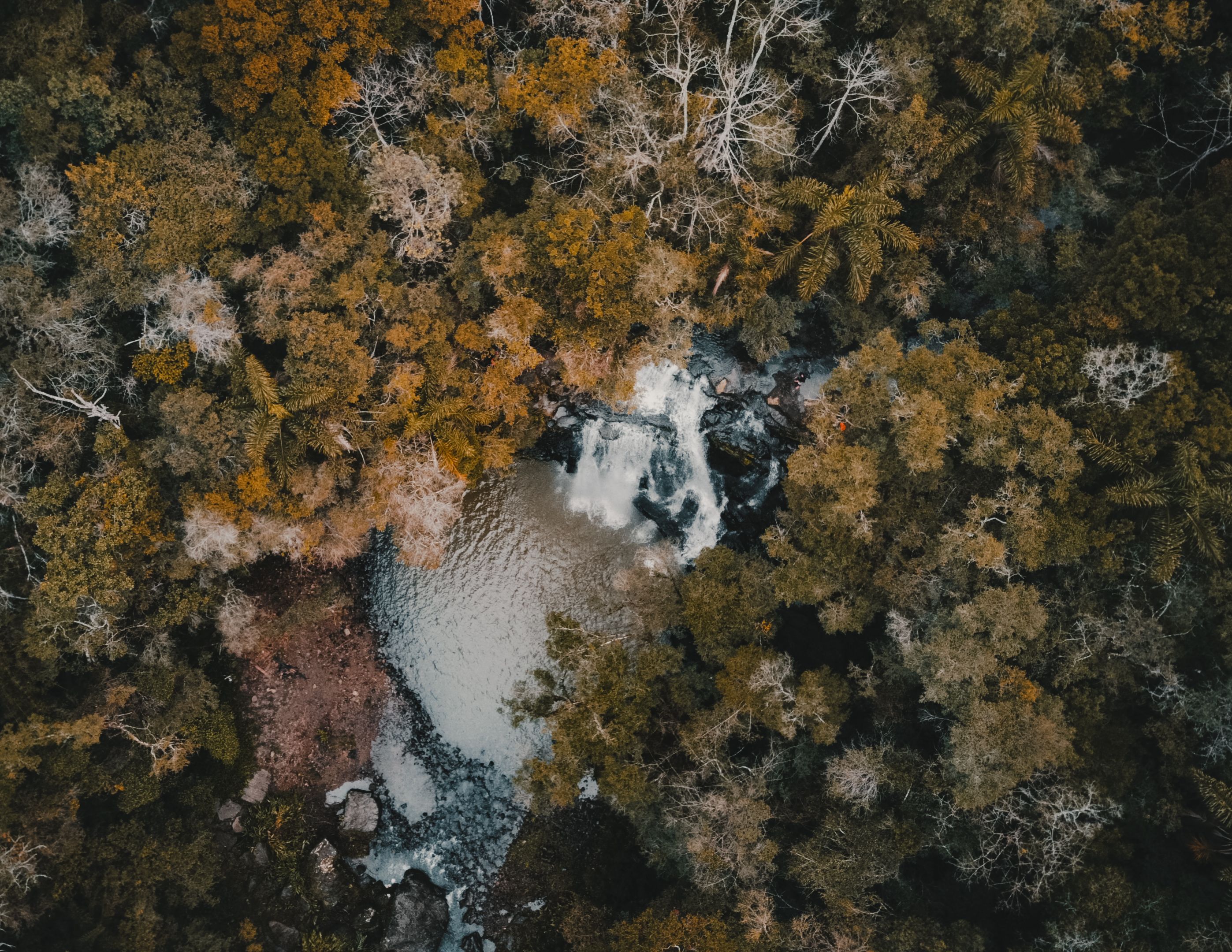 Aerial Photo of A Shallow River · Free Stock Photo