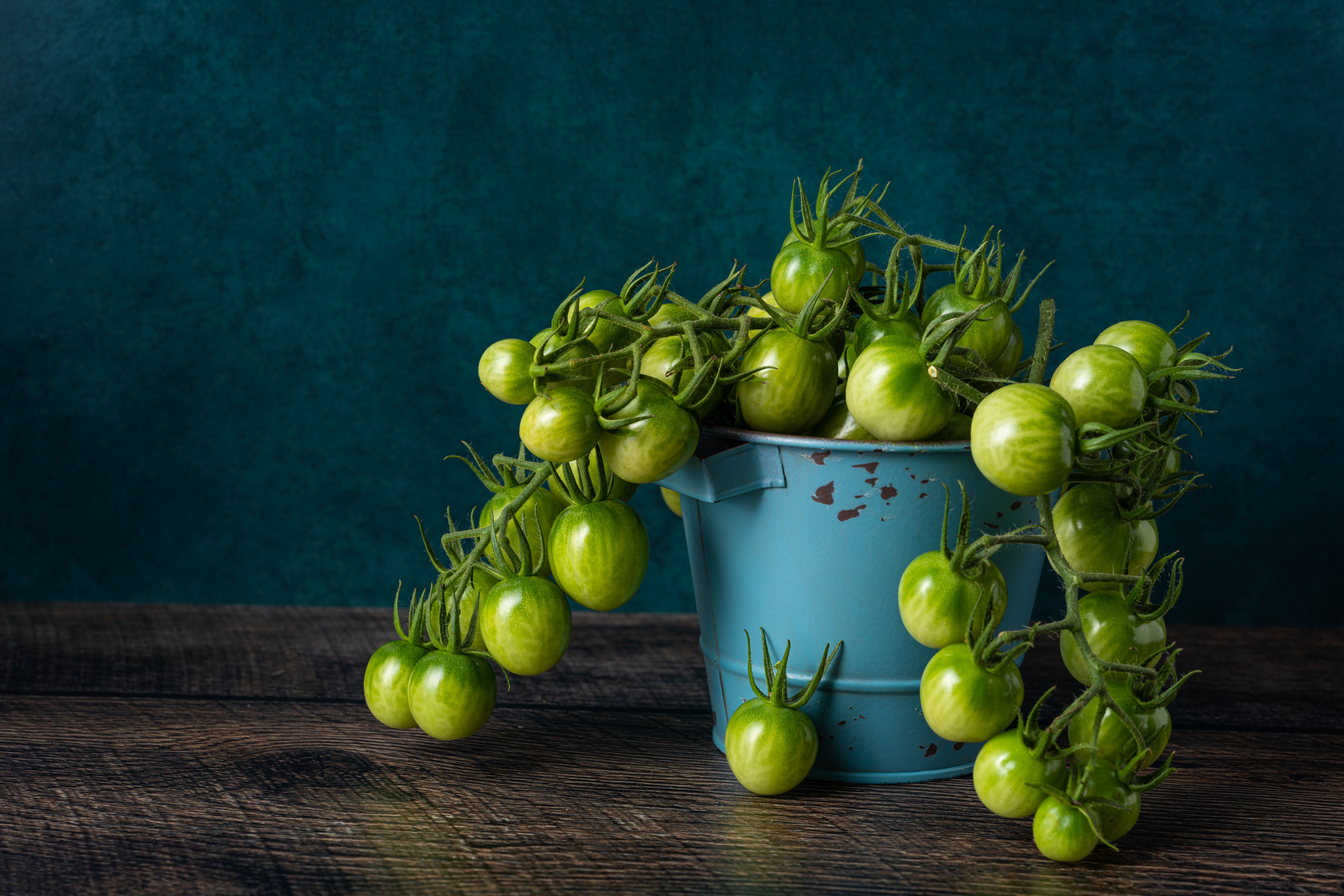 Green Fruits on Blue Metal Bucket · Free Stock Photo