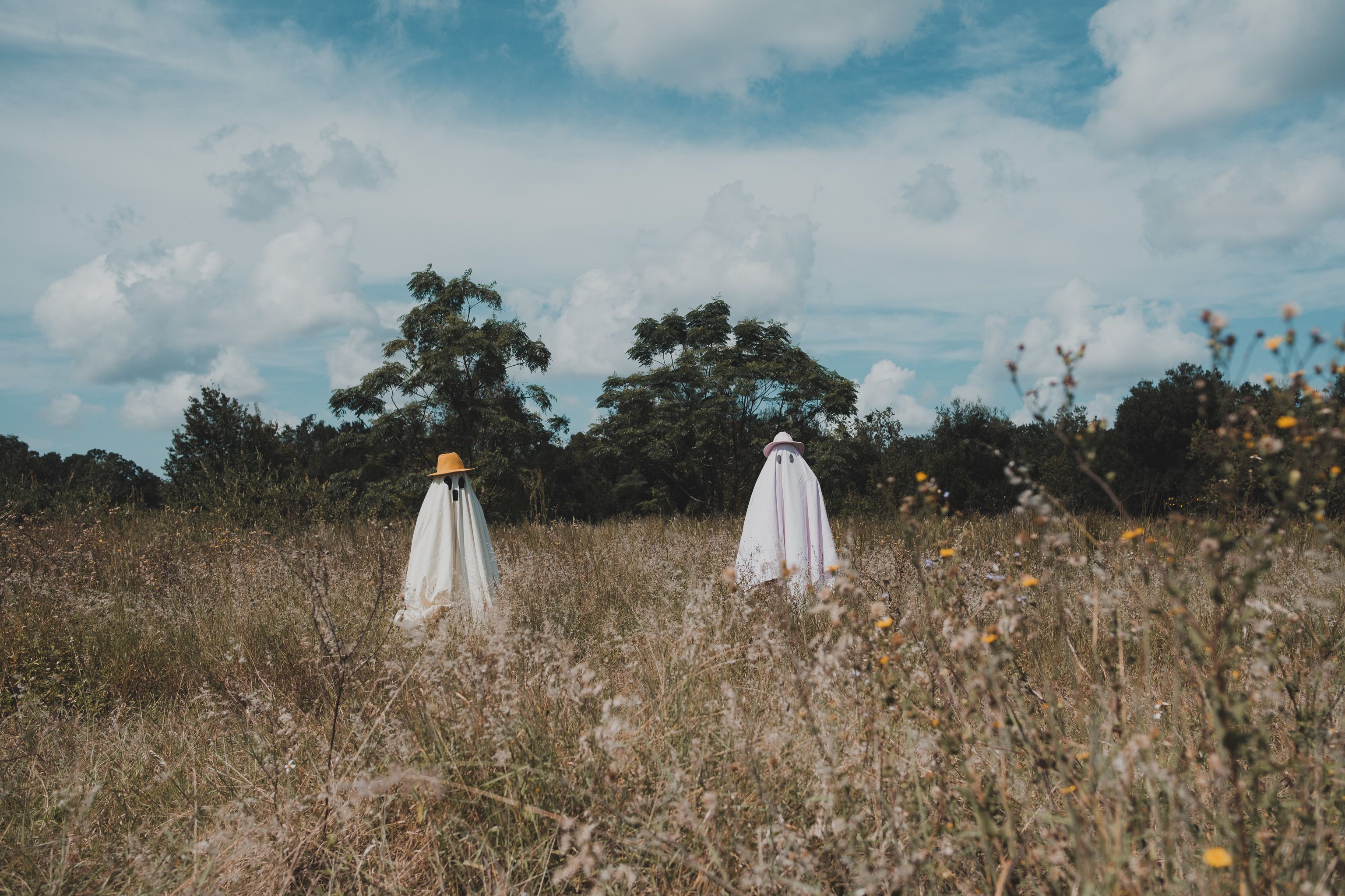 Two People in White Spooky Costumes on Grass Field under the Sky · Free ...