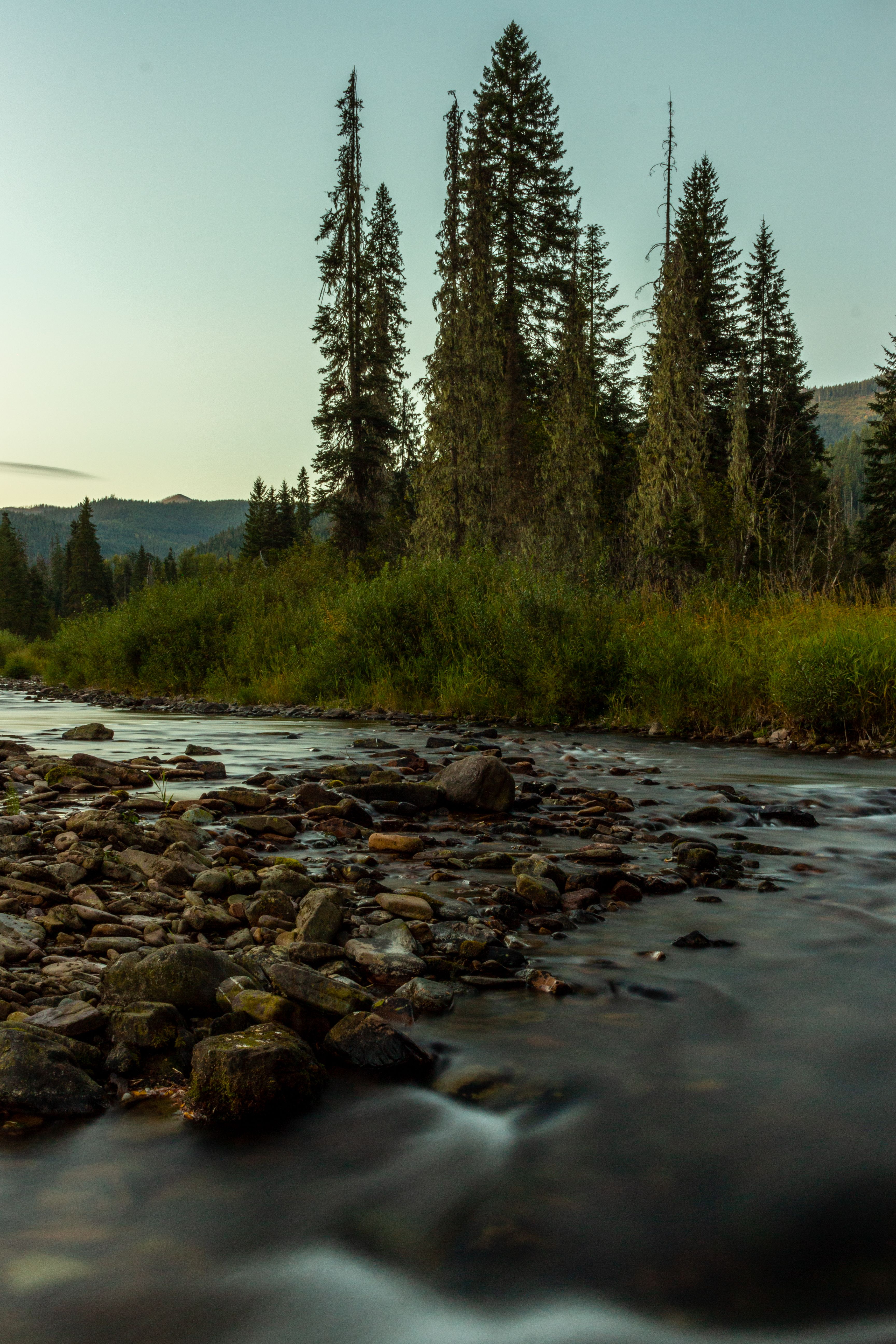 River During Daytime · Free Stock Photo