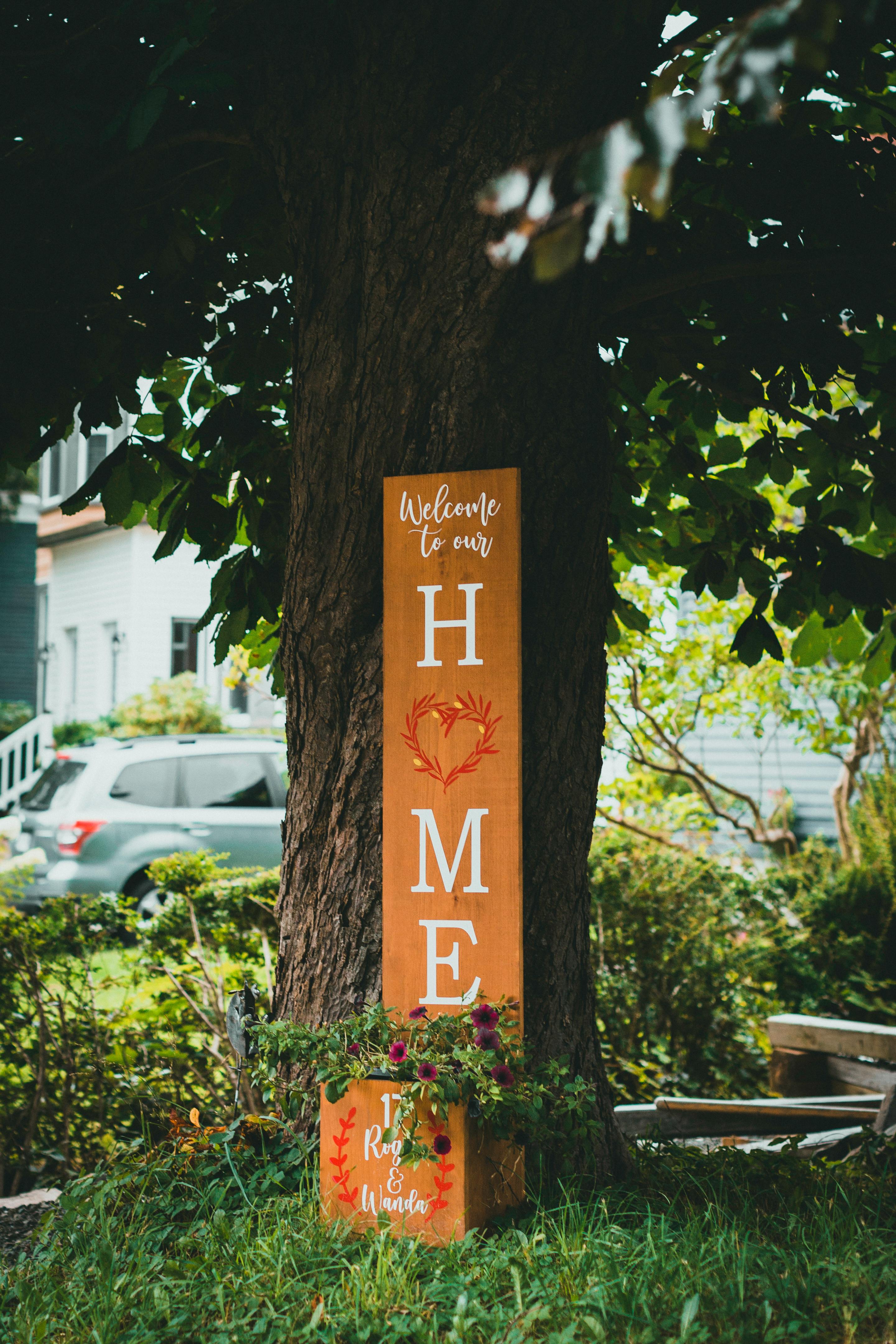 A Wooden Signage on Tree Trunk · Free Stock Photo