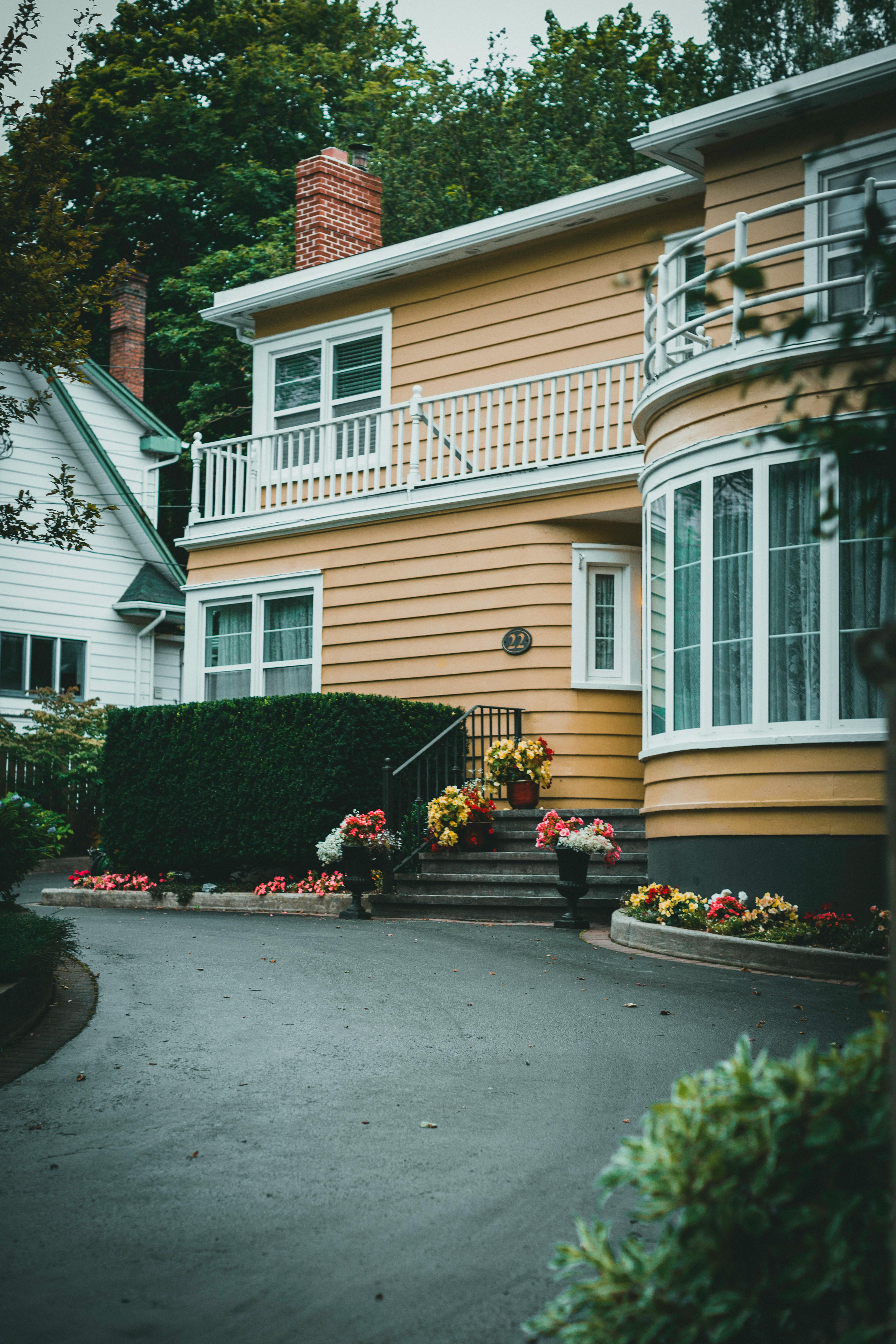 Marigold House Photos, Download The BEST Free Marigold House Stock ...