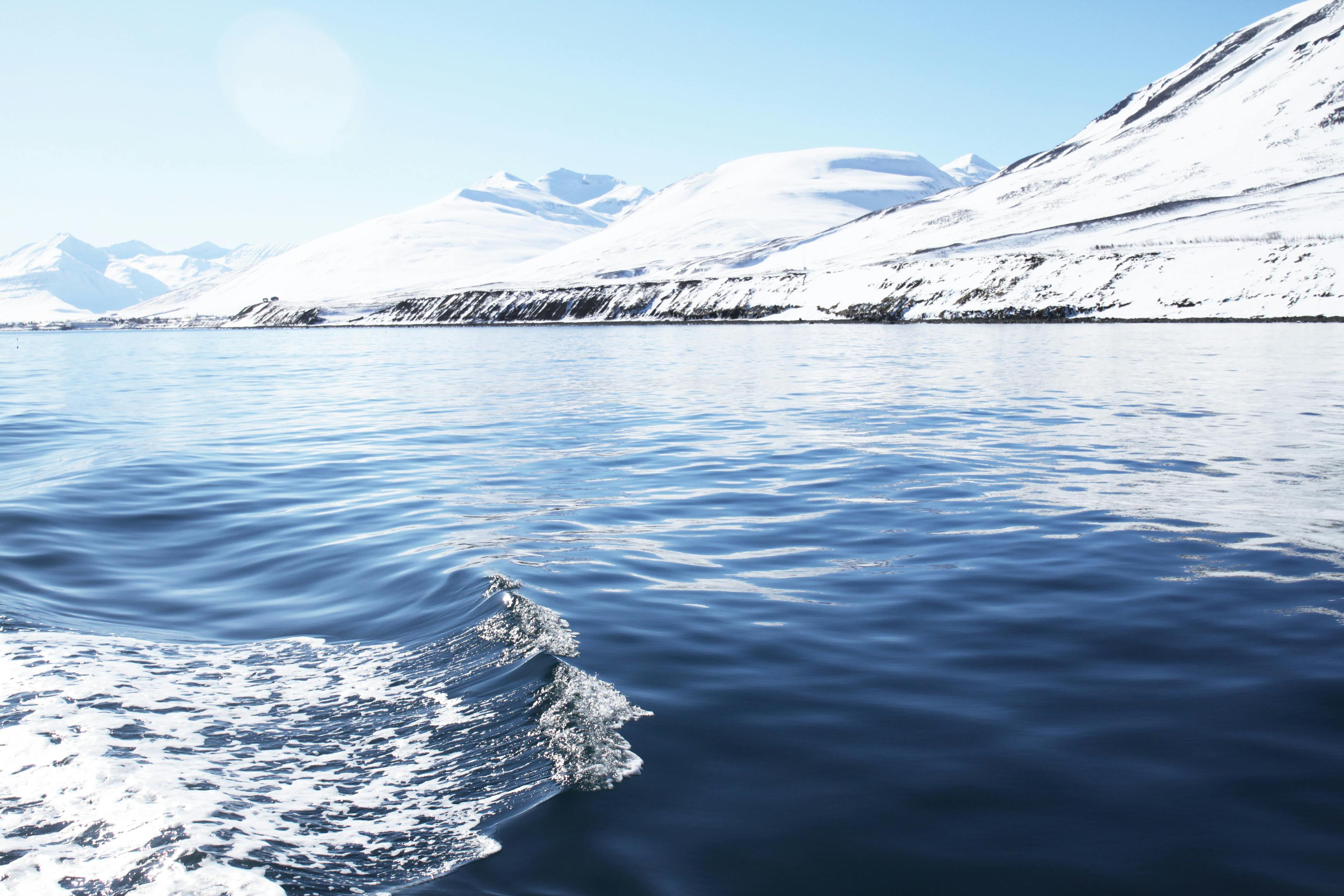 Icy Mountain Sea Waves Scenery · Free Stock Photo