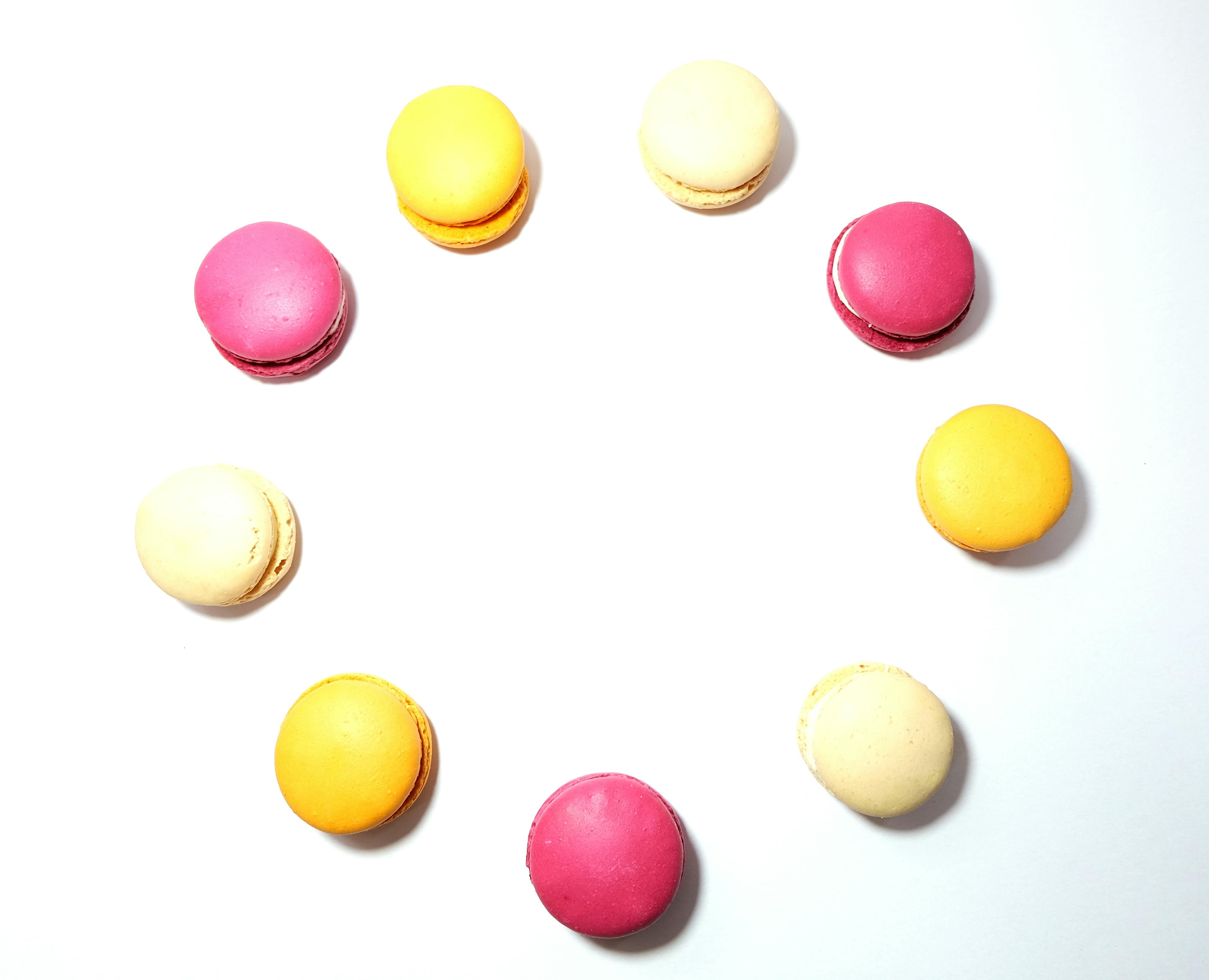 Free stock photo of cream, crown, cute