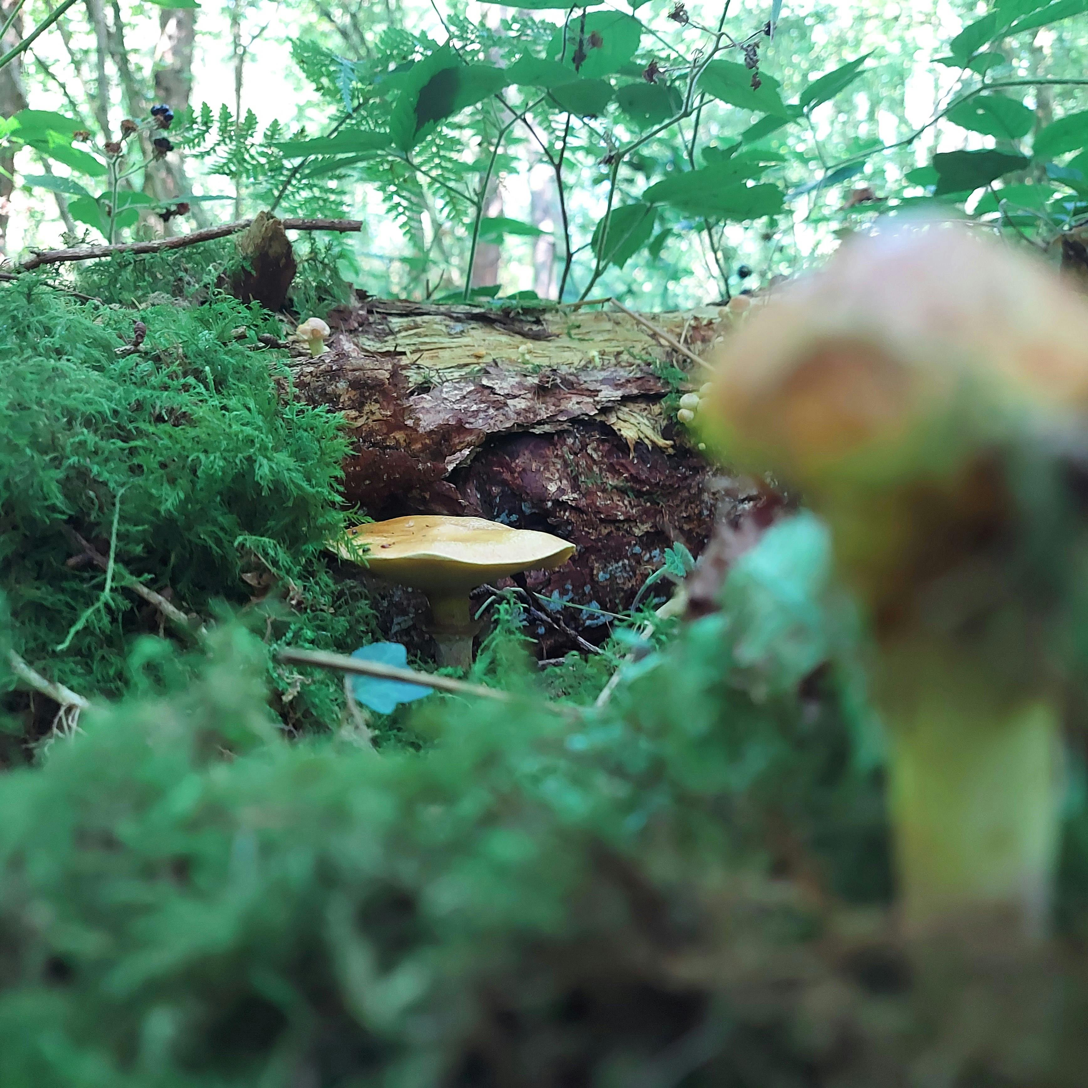 Stefan Robinson - Photography