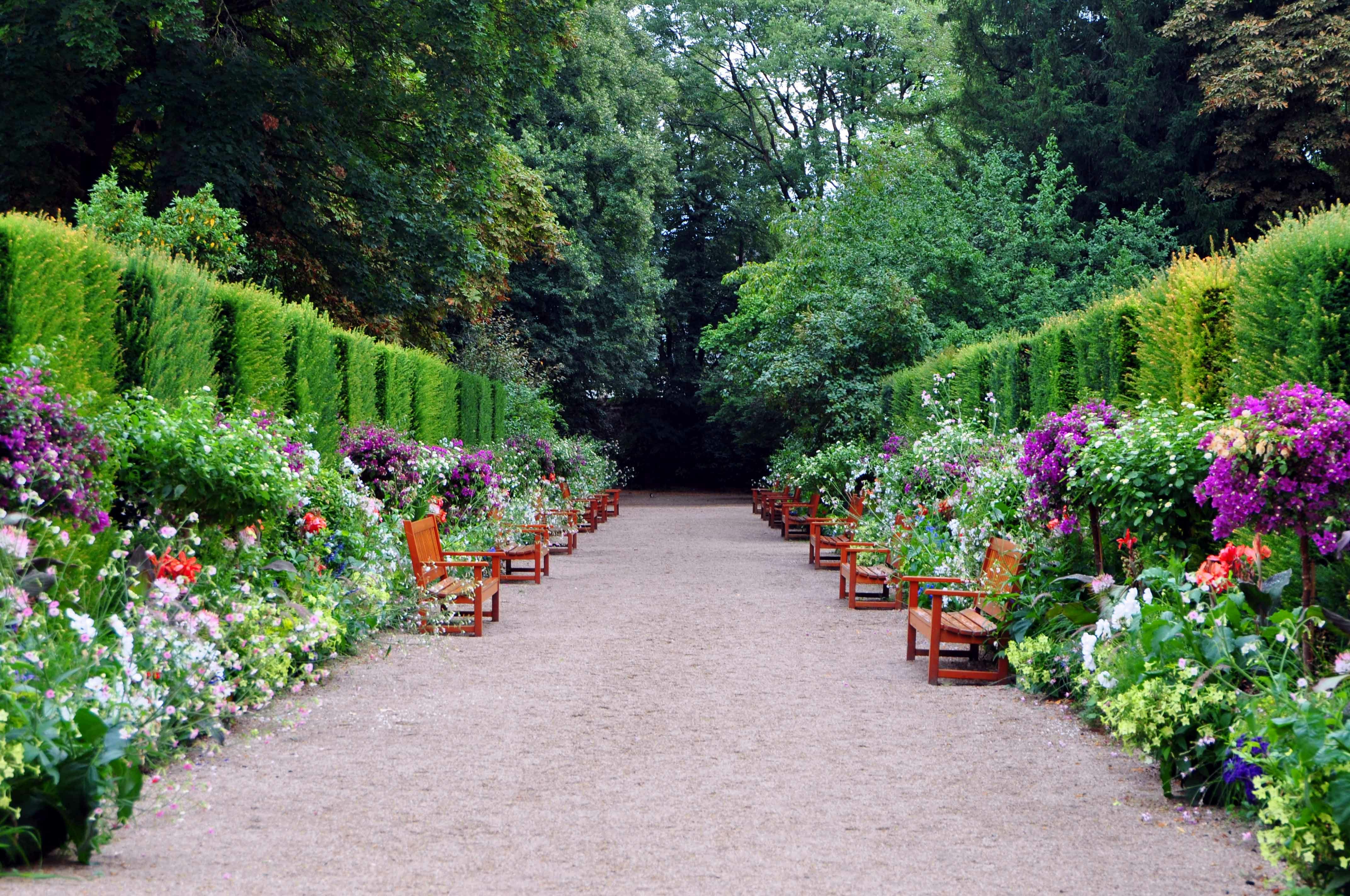 Pavement Path in Urban Park · Free Stock Photo