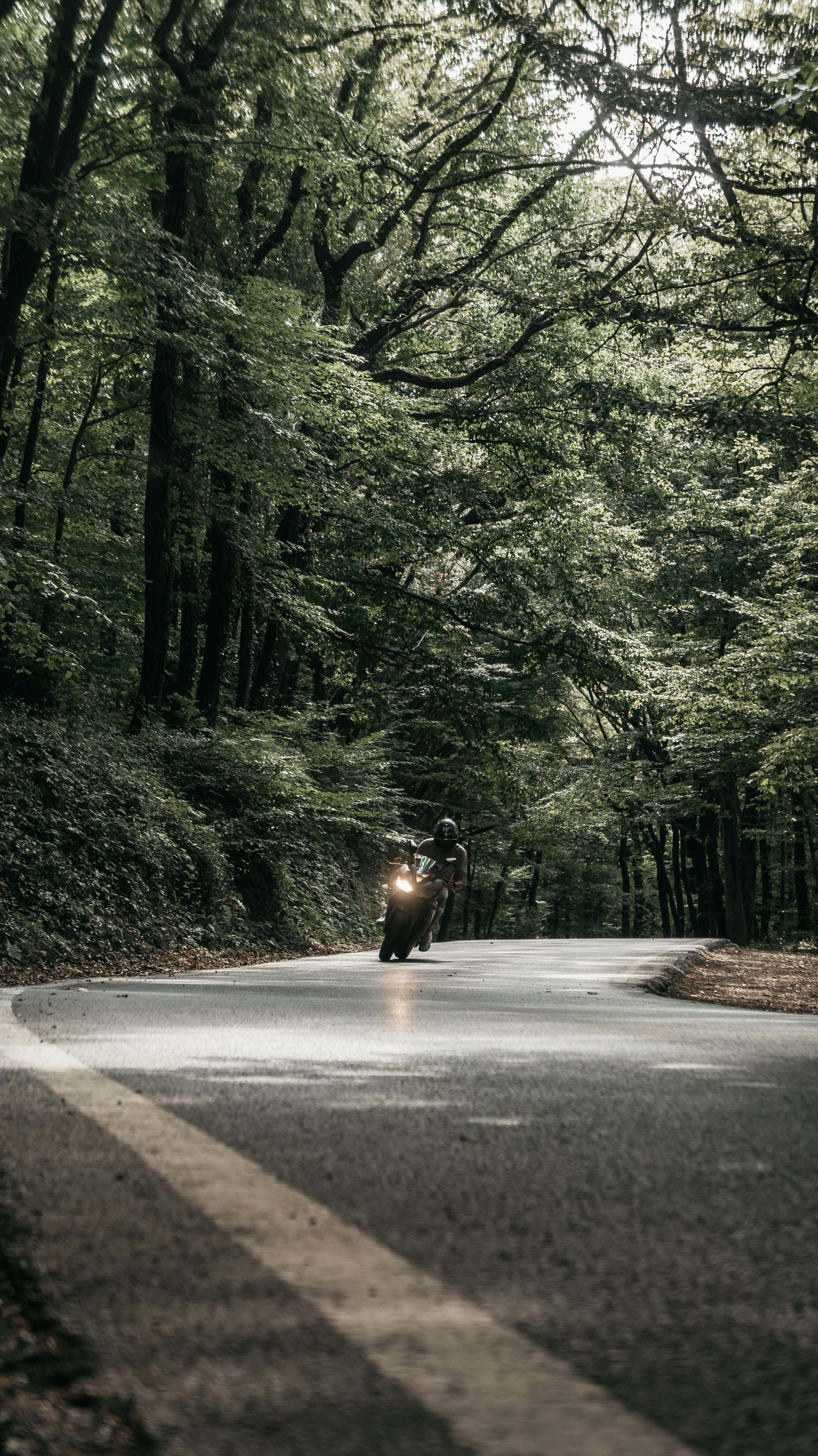 Person Riding Motorcycle on a Road of a Forest · Free Stock Photo