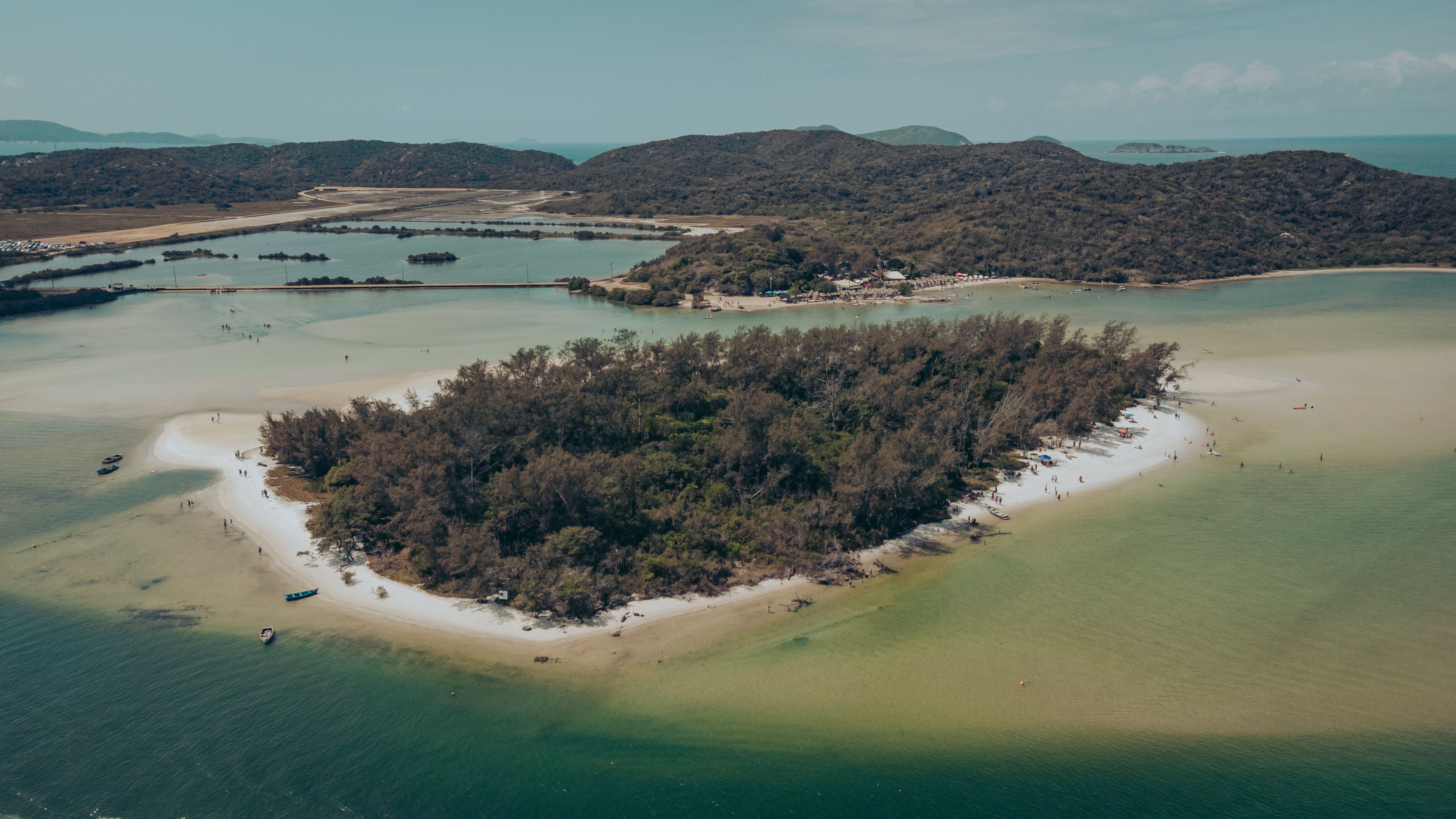 Trees on Island on Sea Shore · Free Stock Photo