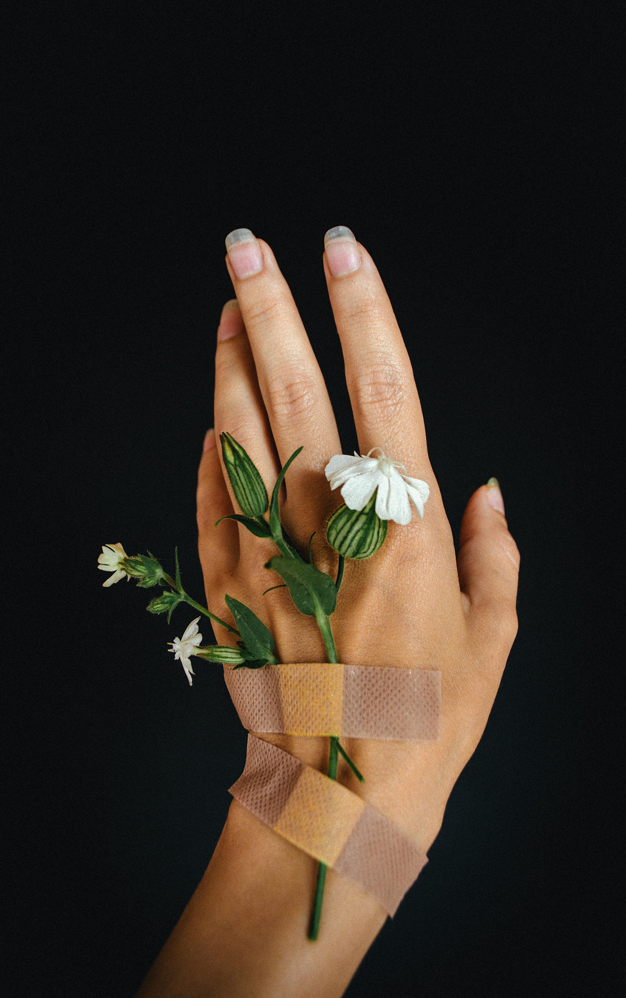 Photograph of a Person's Hand with a Band Aid and Flowers · Free Stock ...