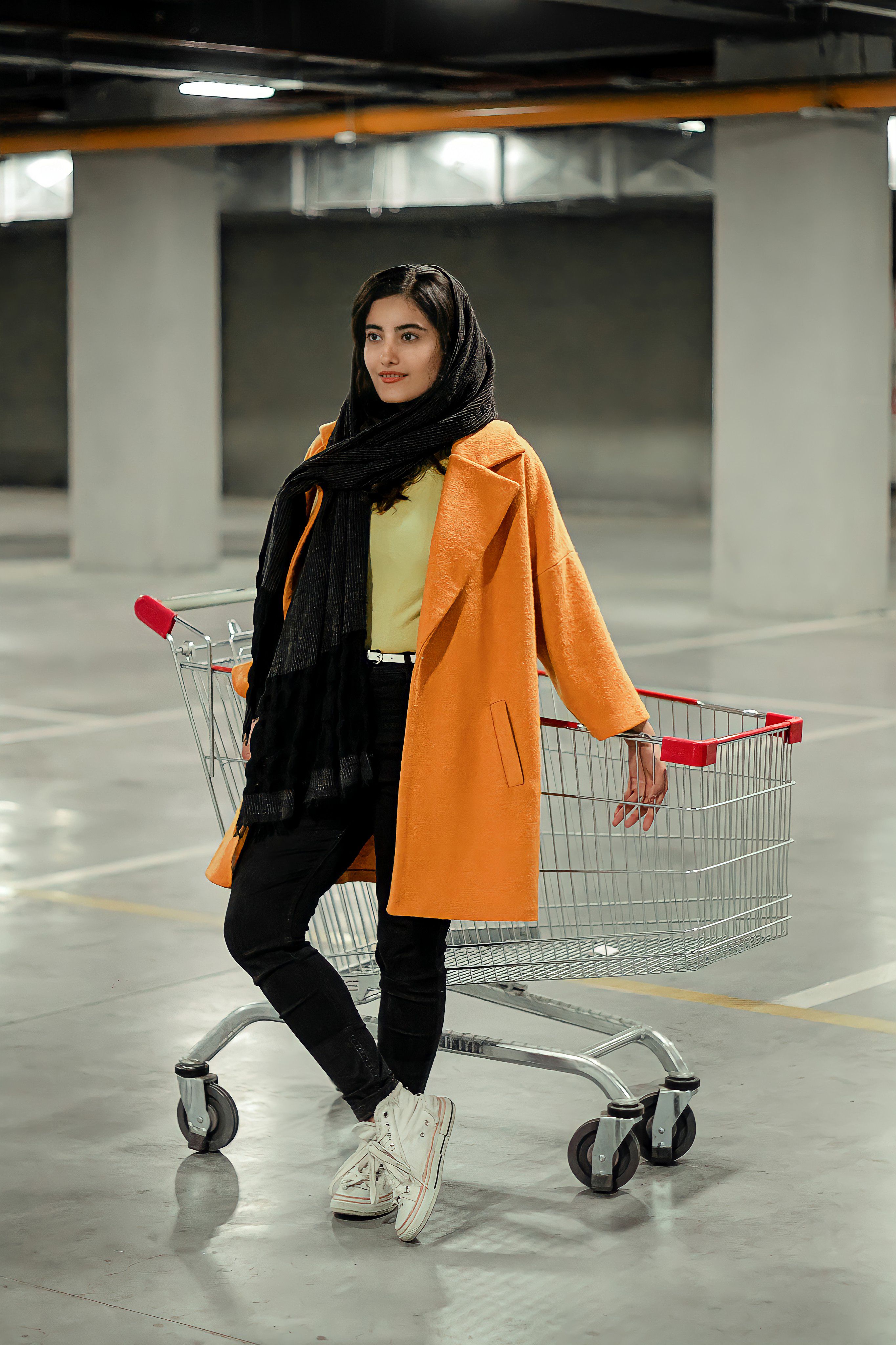 Person Pushing a Shopping Cart · Free Stock Photo