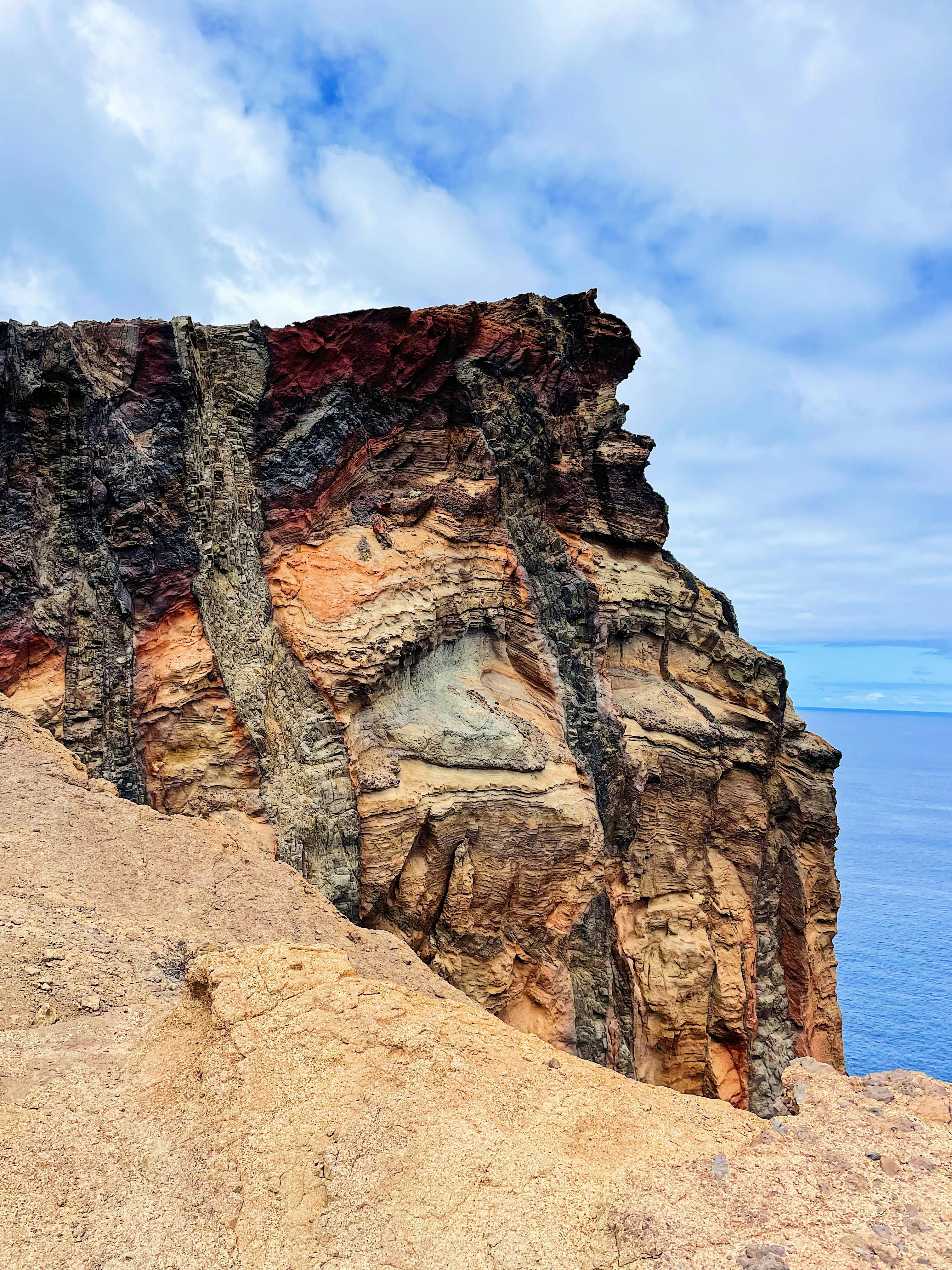 Plantas De Madera Photos, Download The BEST Free Plantas De Madera ...