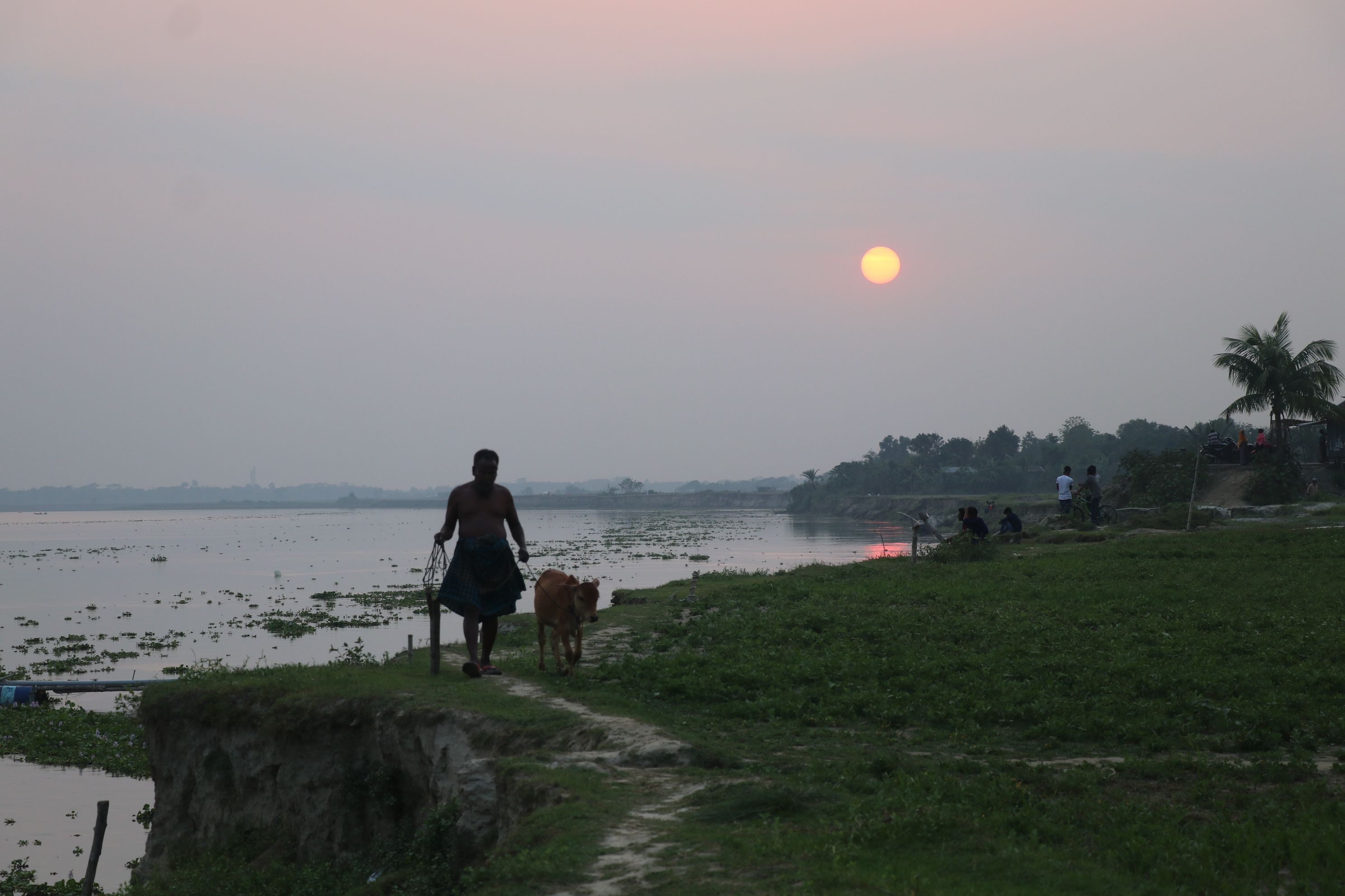 Bangladesh Village Photos, Download The BEST Free Bangladesh Village ...