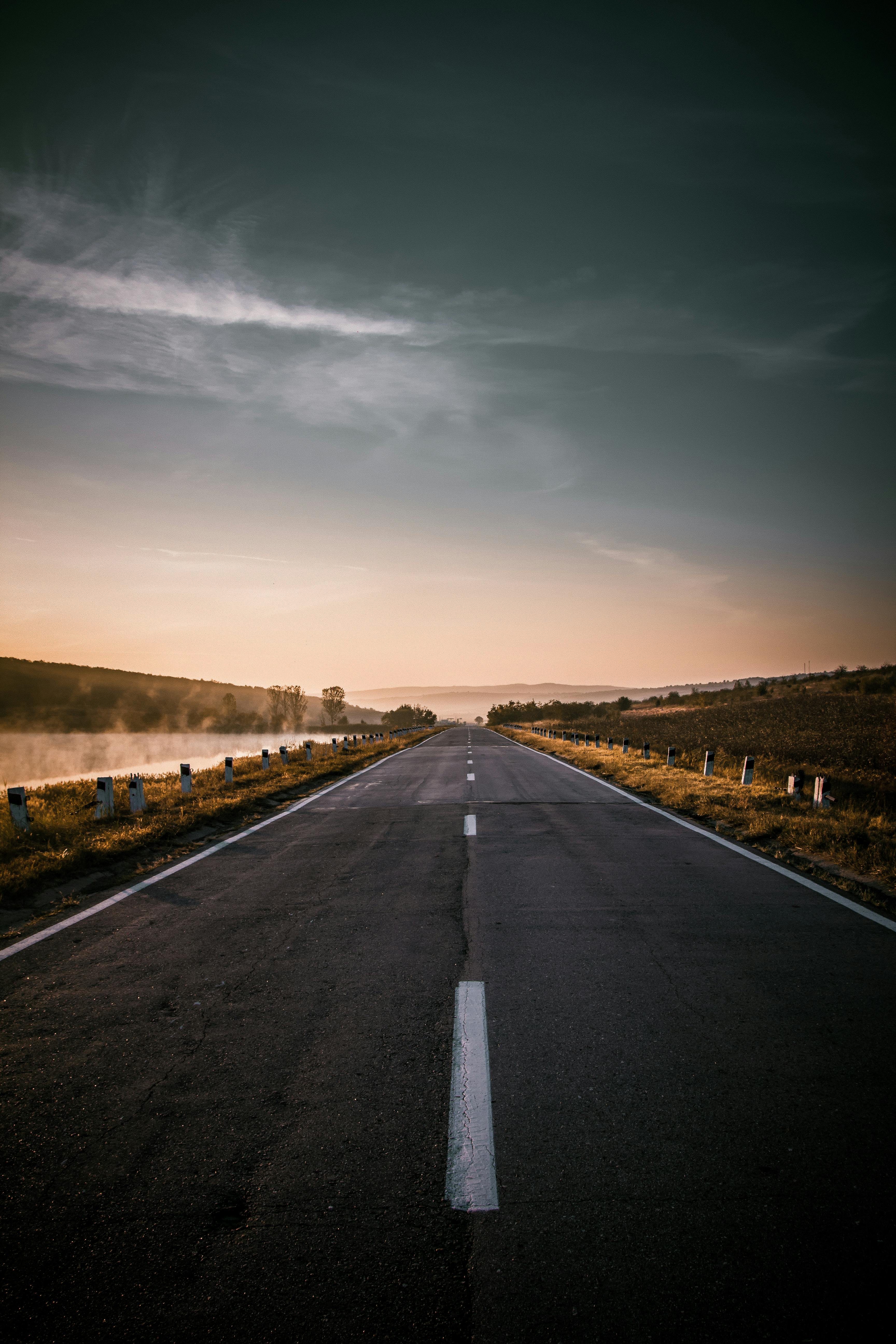 Low Angle Shot of an Asphalt Road Between Trees · Free Stock Photo