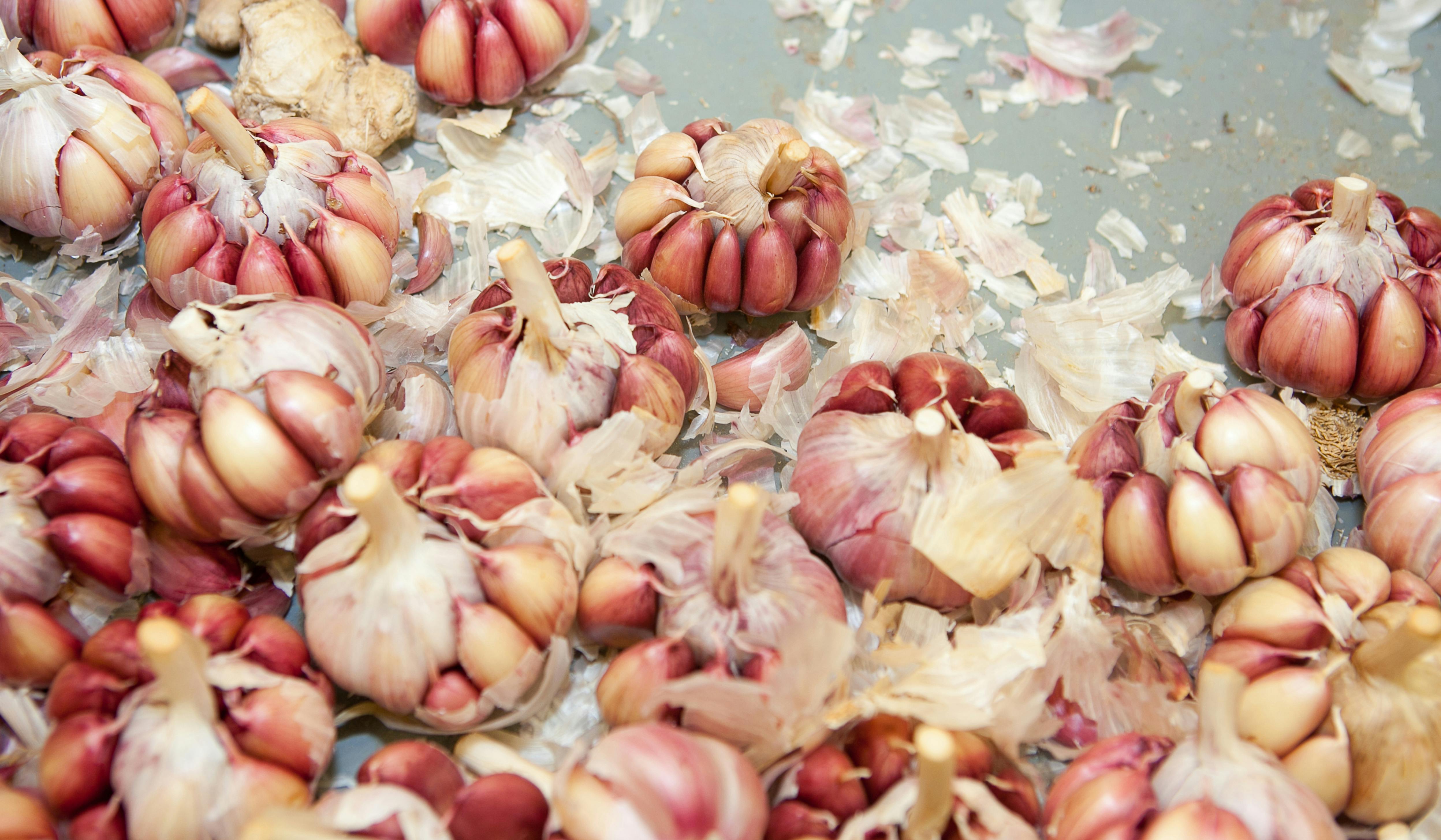 Two White Garlics · Free Stock Photo