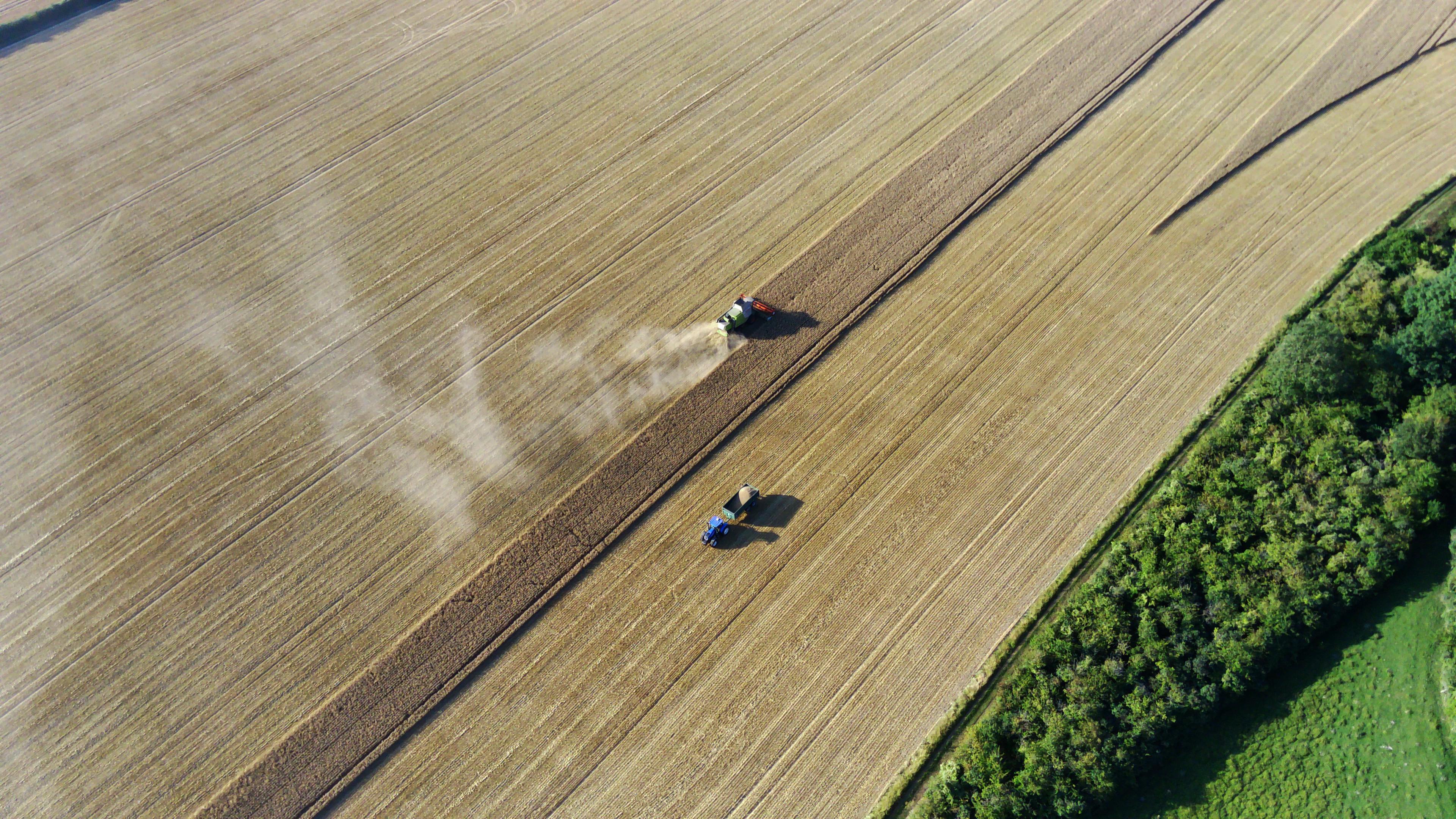Aerial Photo of People Working in a Field · Free Stock Photo