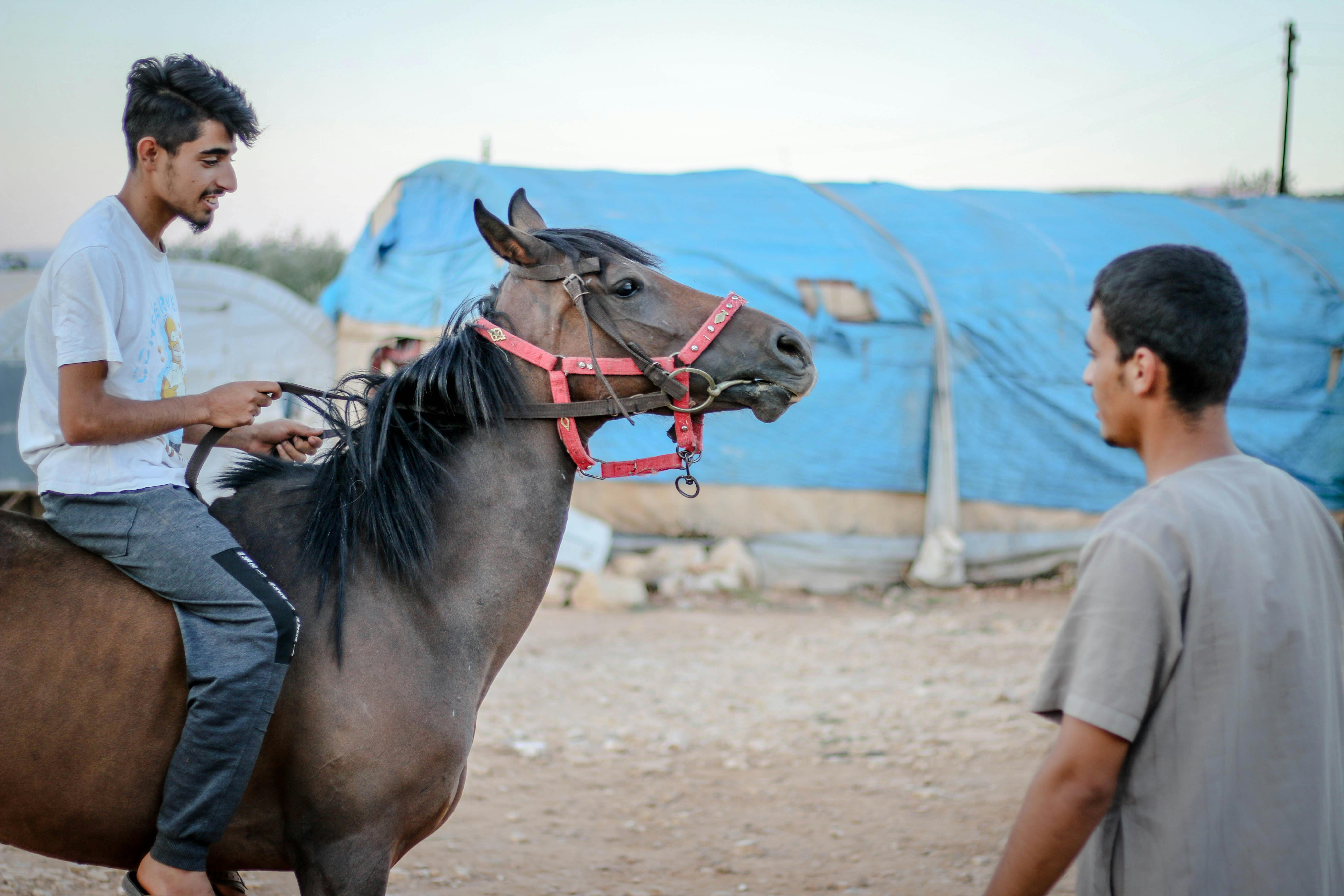 Refugees Photos, Download The BEST Free Refugees Stock Photos & HD Images