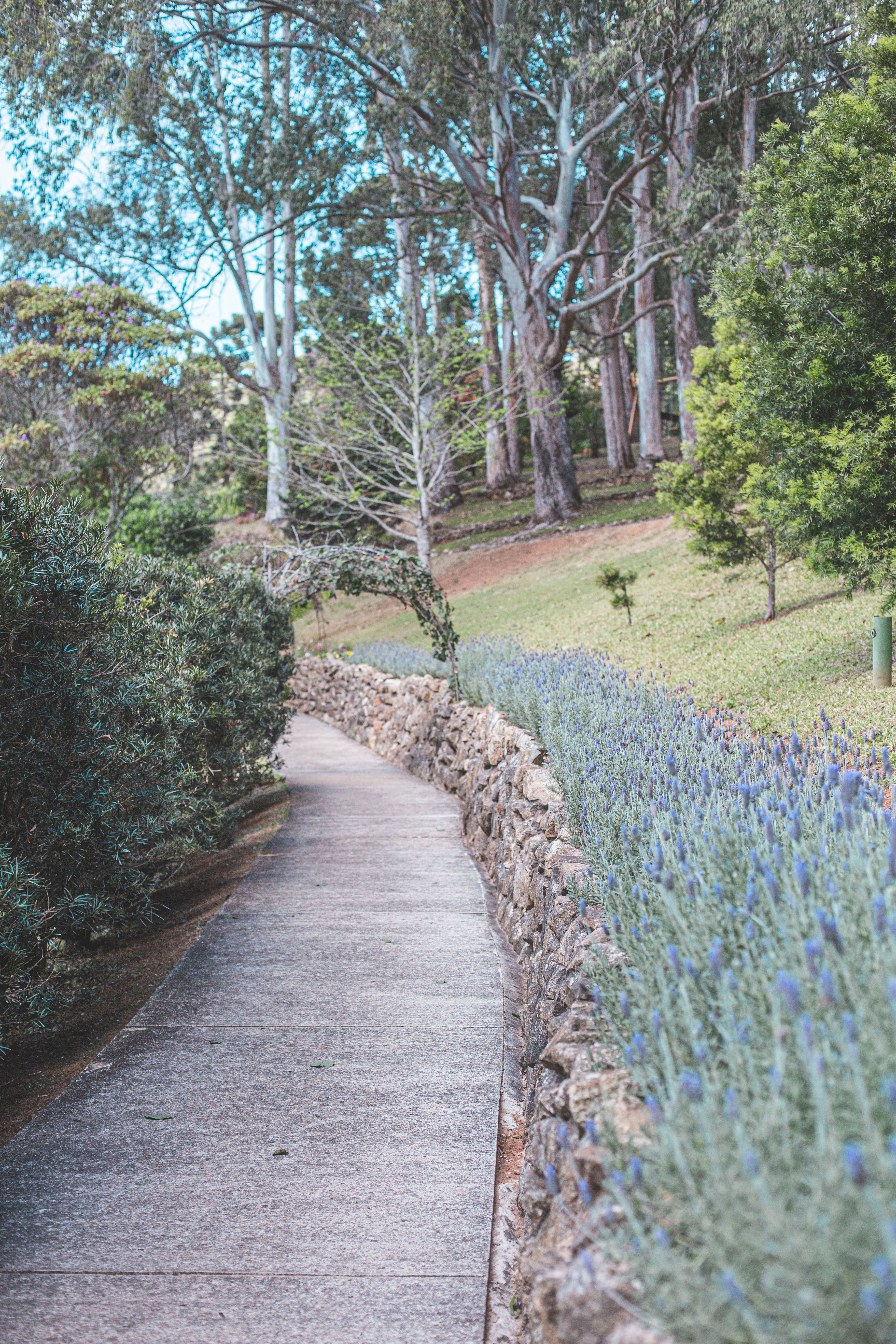 Footpath Flowers Photos, Download The BEST Free Footpath Flowers Stock ...