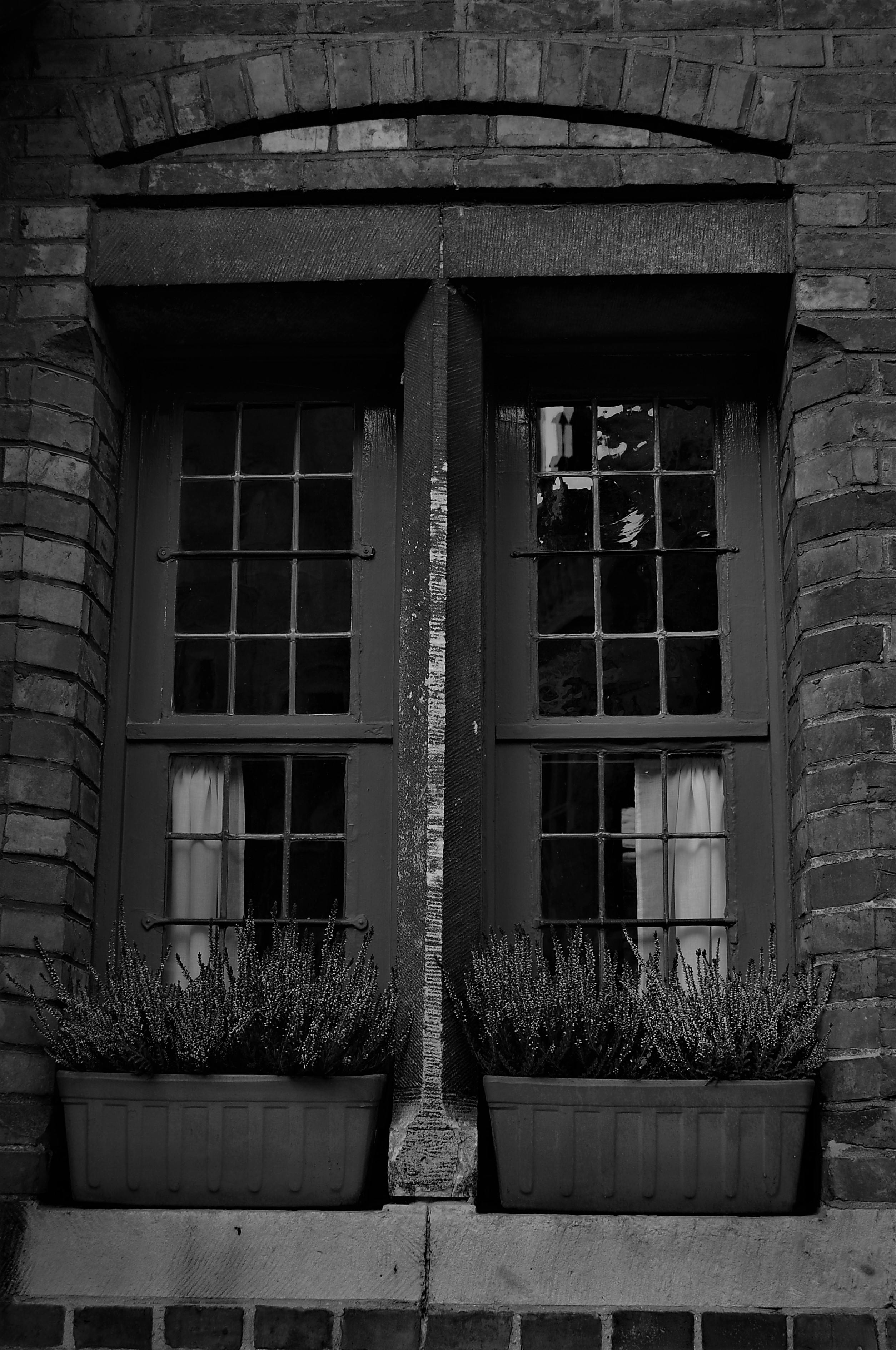 Jonathan Todd - 사진