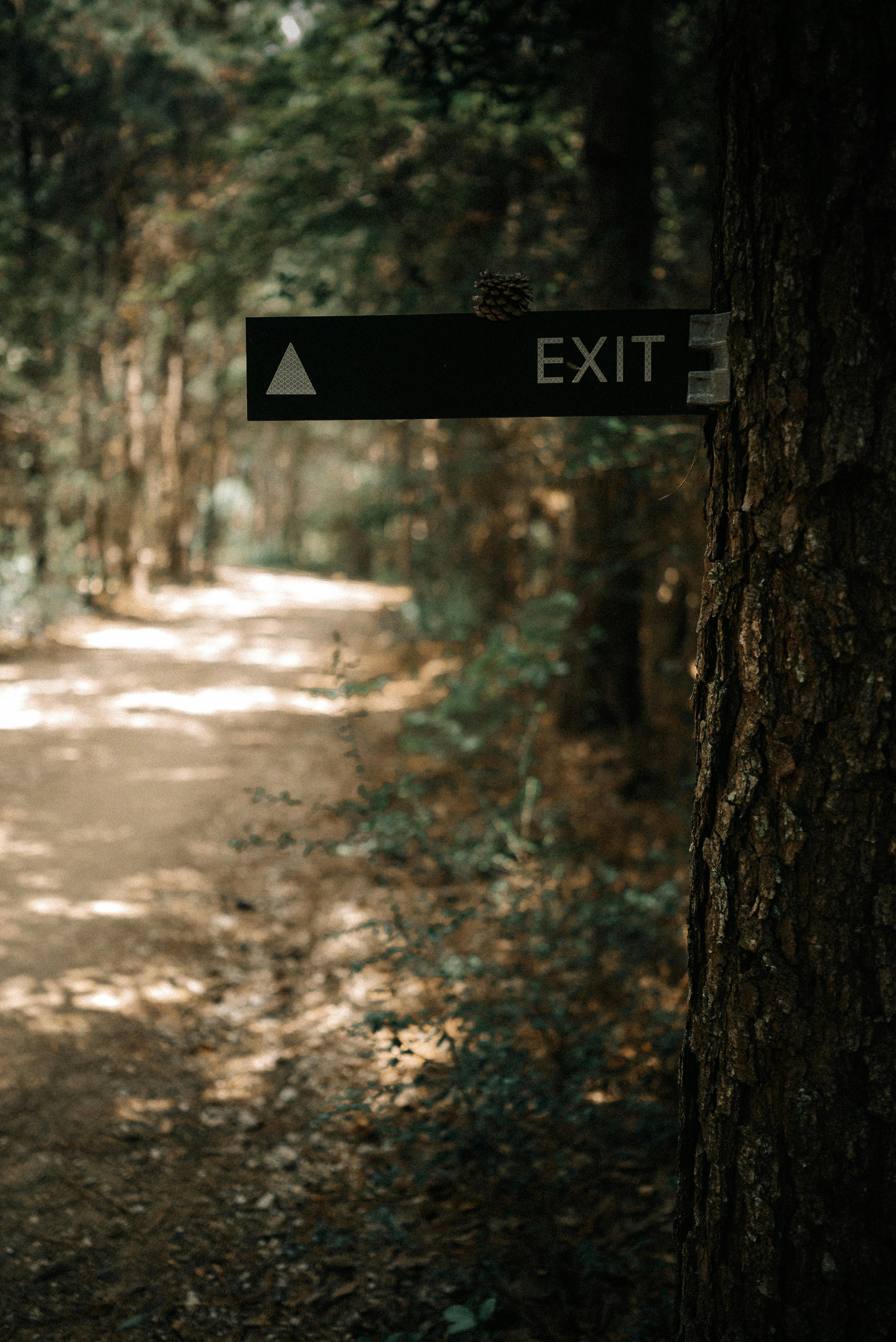 Forest Exit Photos, Download The BEST Free Forest Exit Stock Photos ...