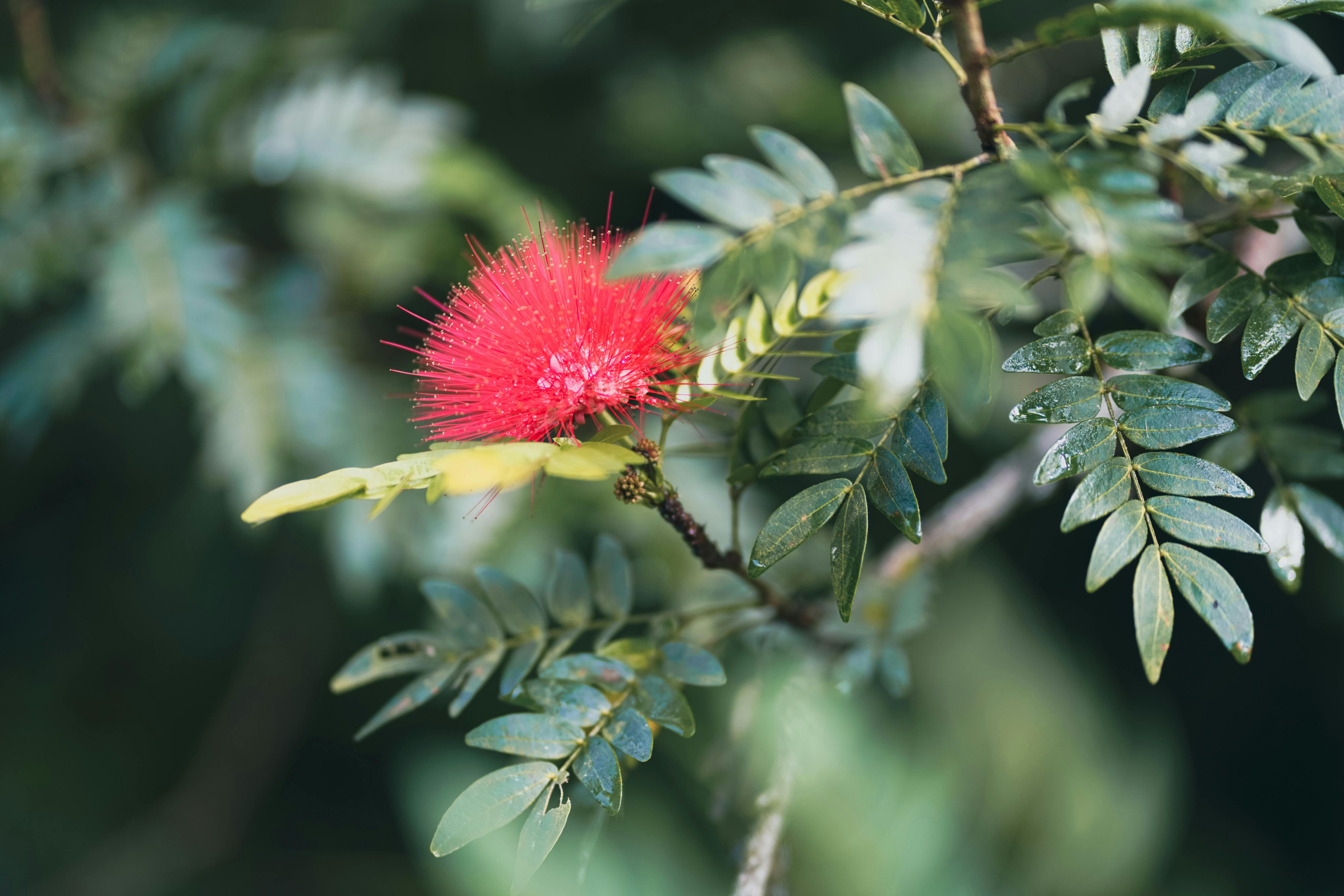 Nimalan Sugumaran - Photography