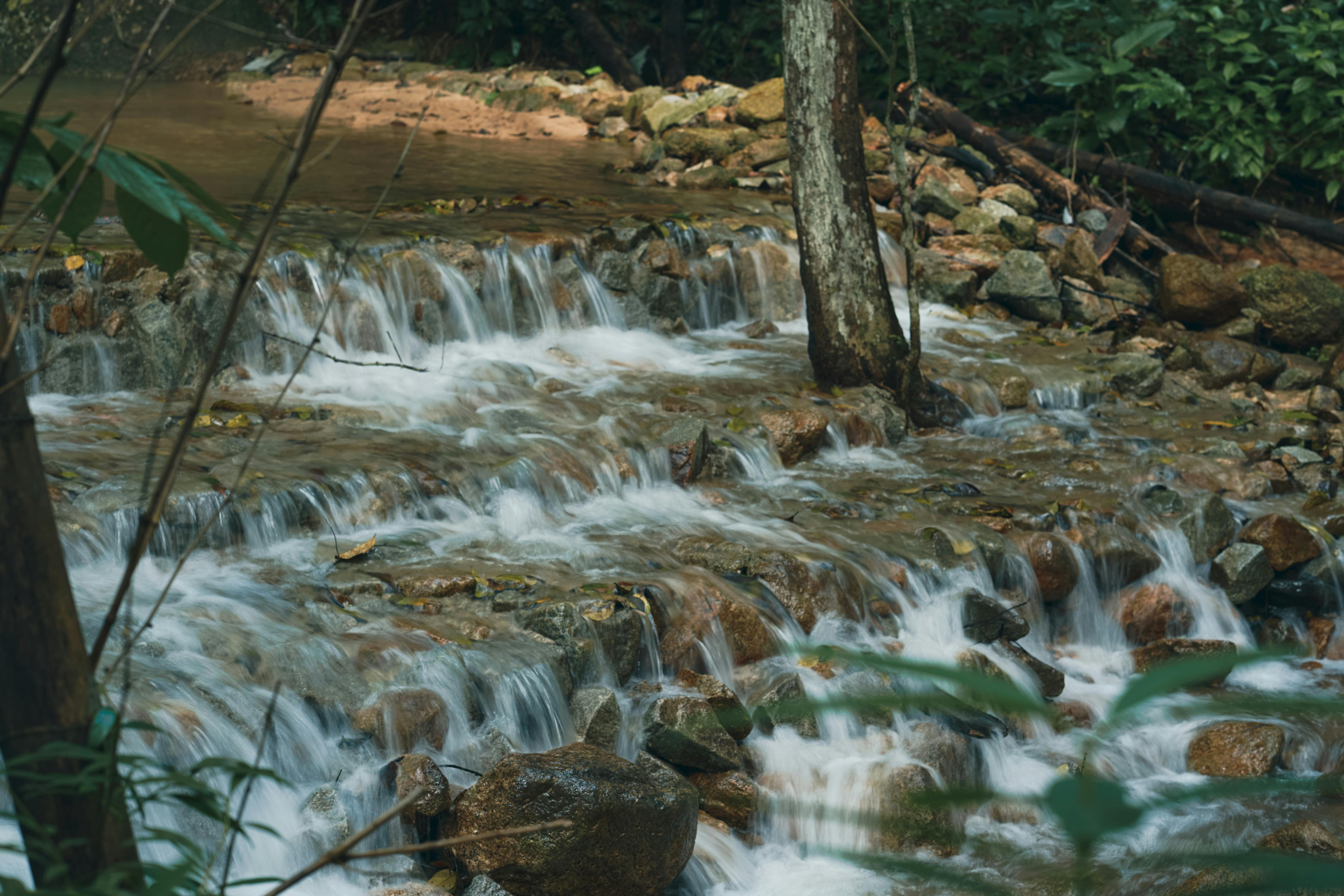 Nimalan Sugumaran - Photography