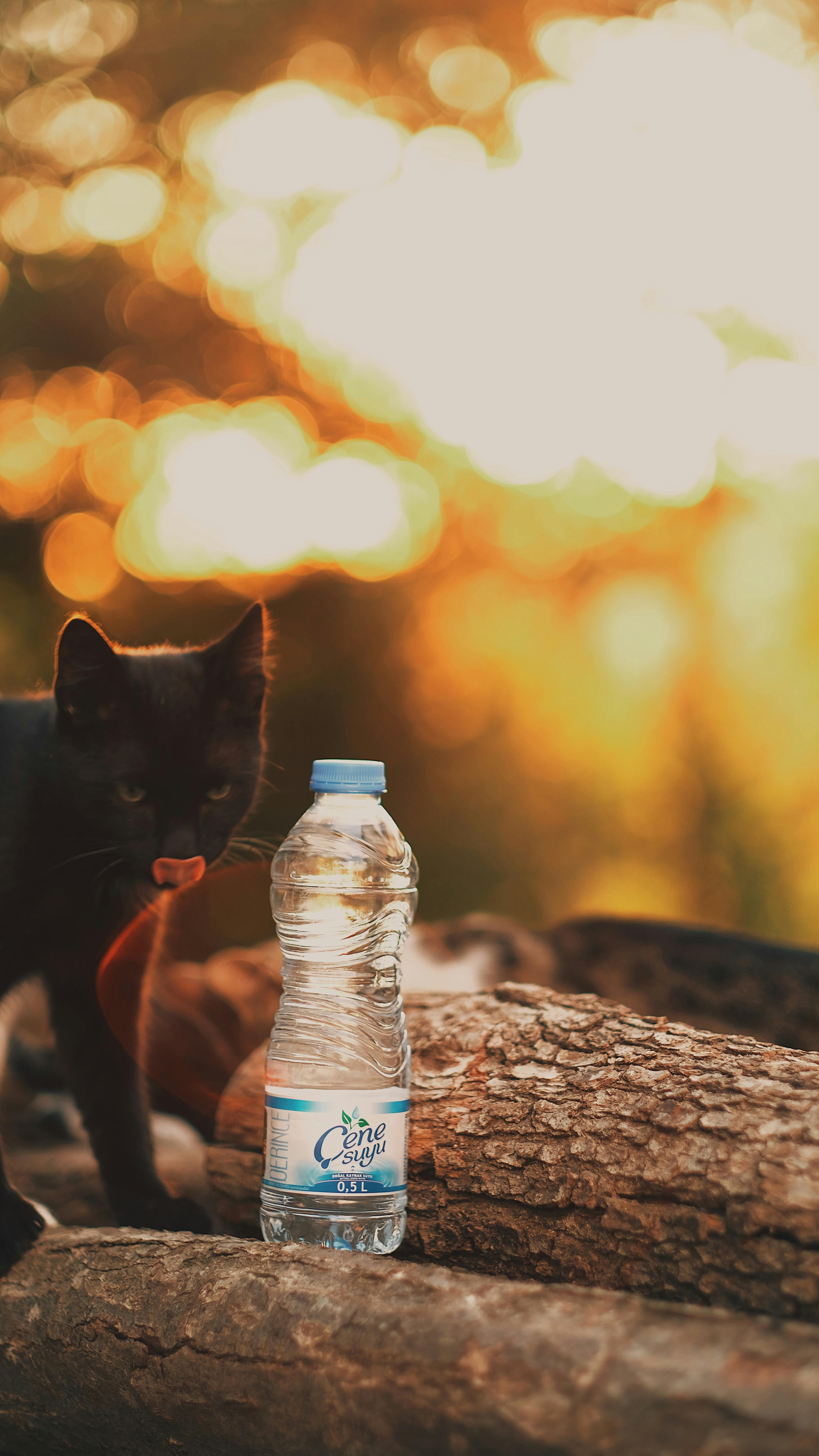 White Paper Signage on the Tree Bark · Free Stock Photo