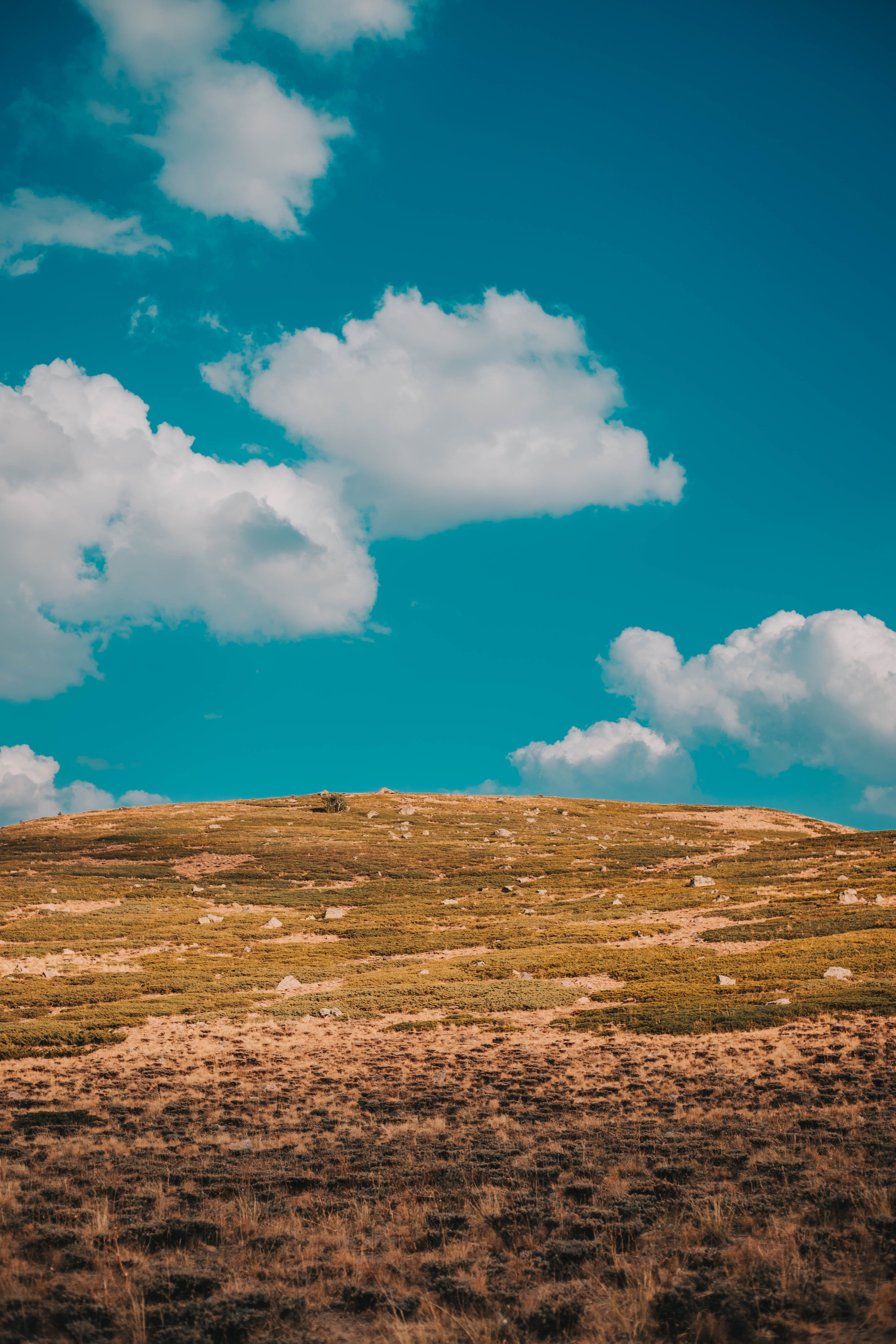 Landscape Photography of Green Grass Field · Free Stock Photo
