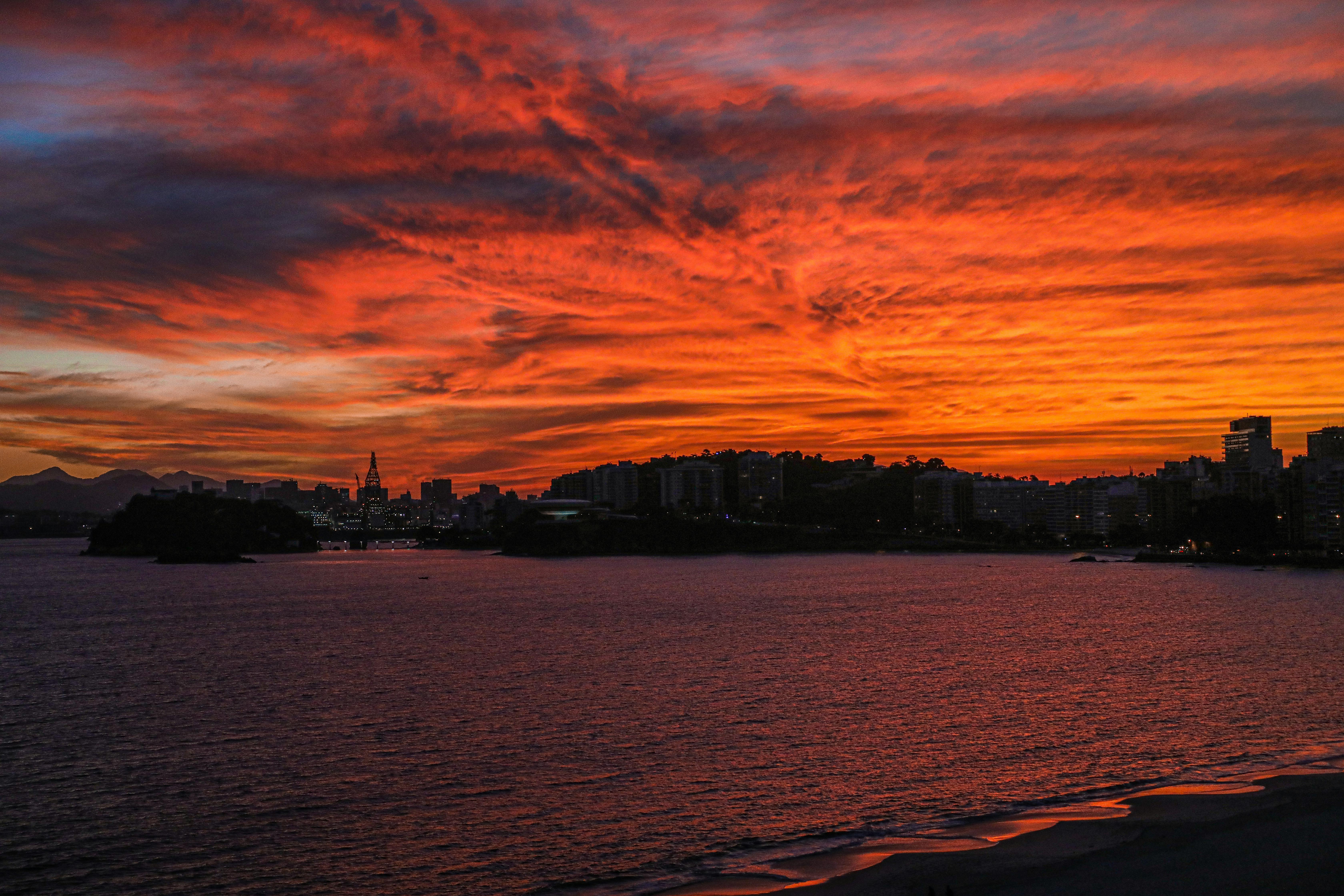 Photo of a Coastal City Skyline · Free Stock Photo