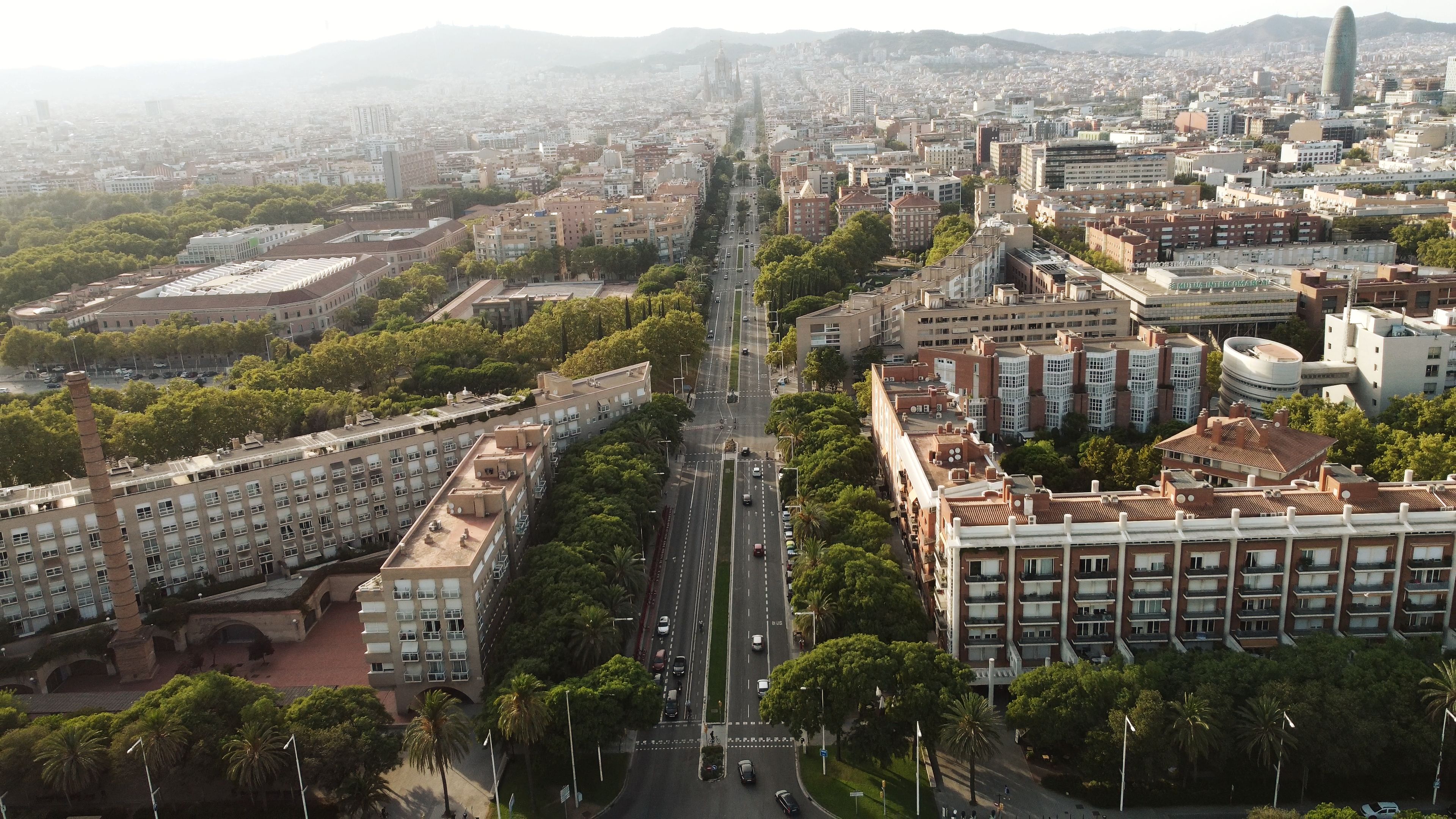 Aerial View of a Street in a City · Free Stock Photo