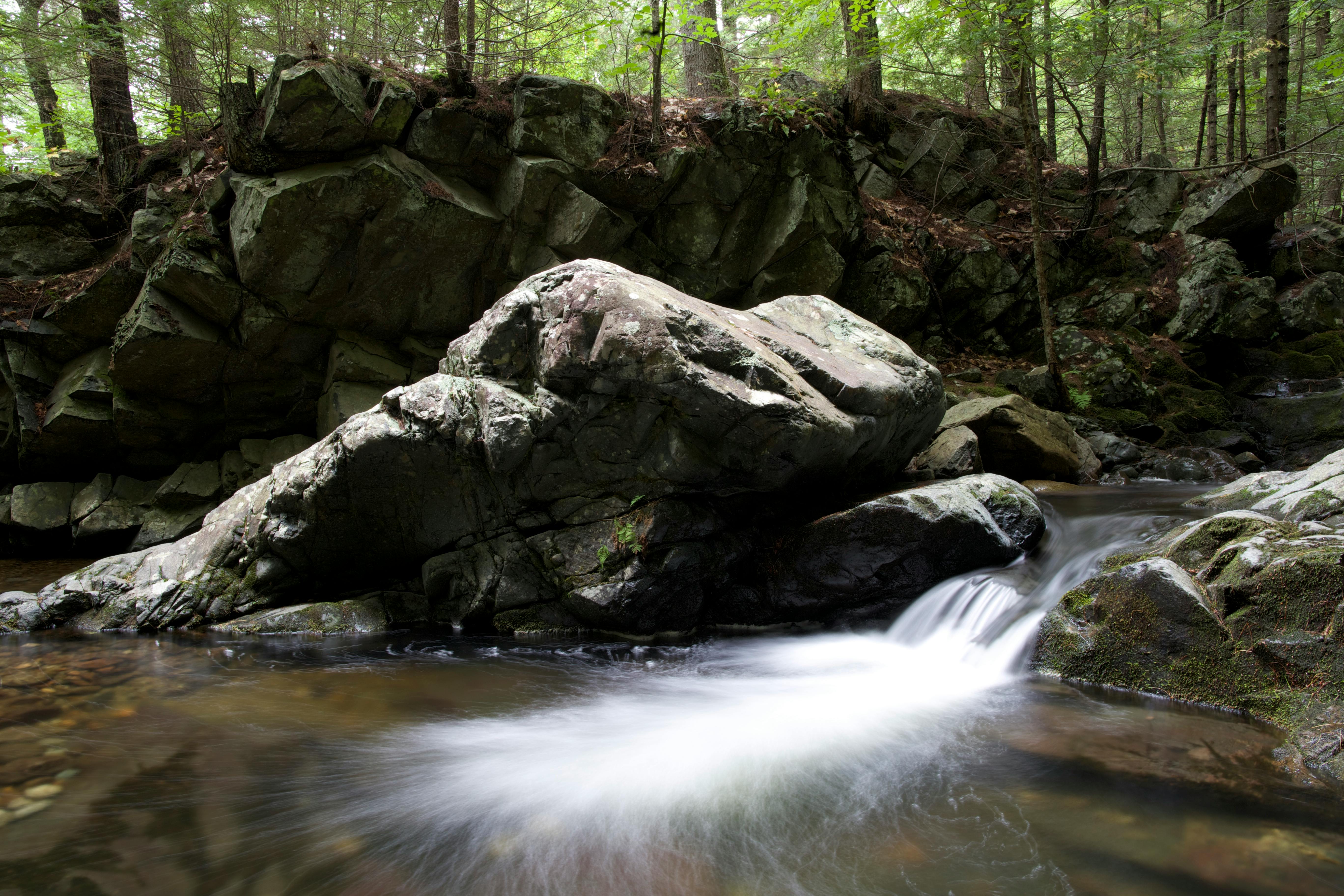 Water Running Through Rocky Terrain in the Woods · Free Stock Photo