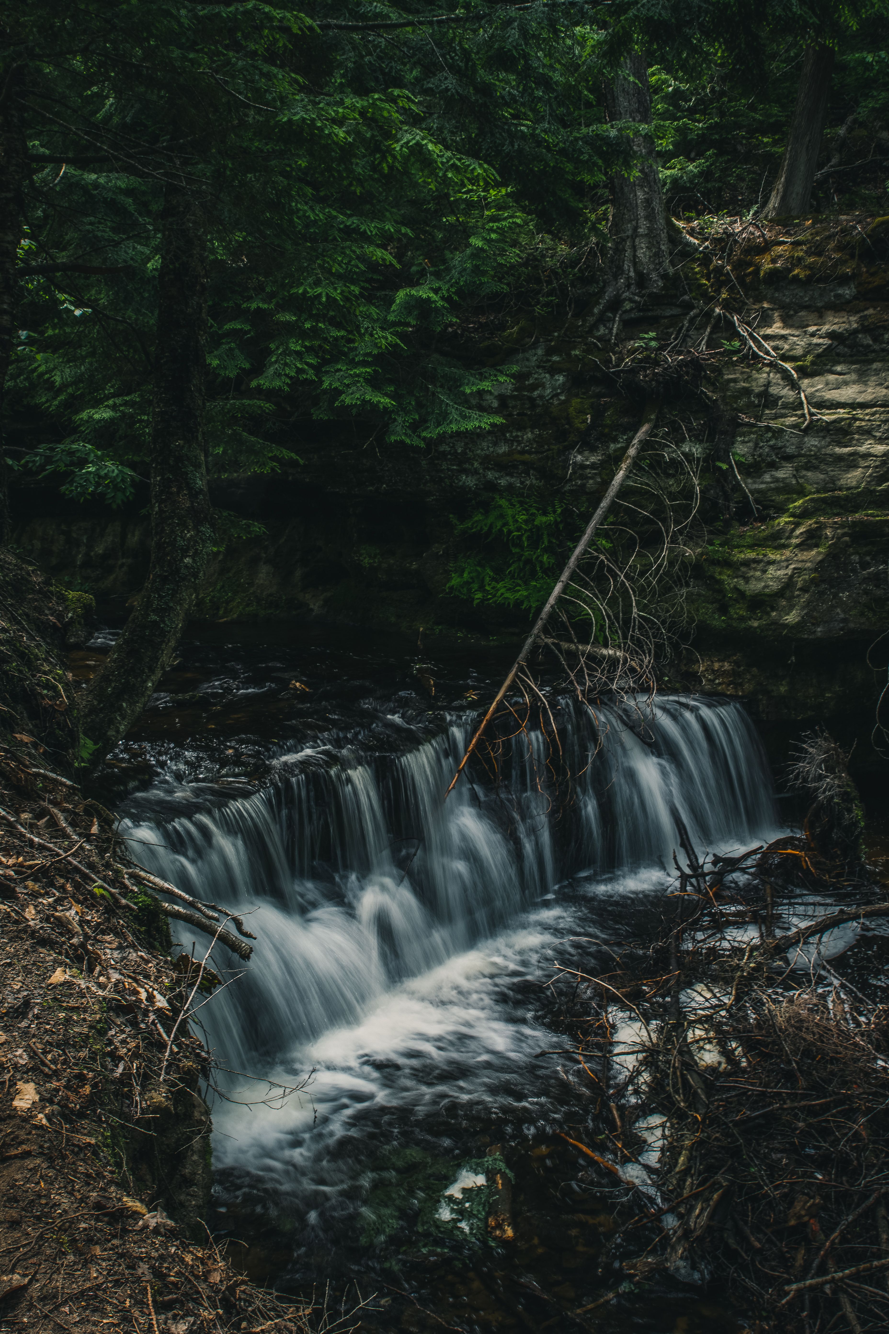Water Falls in the Forest · Free Stock Photo