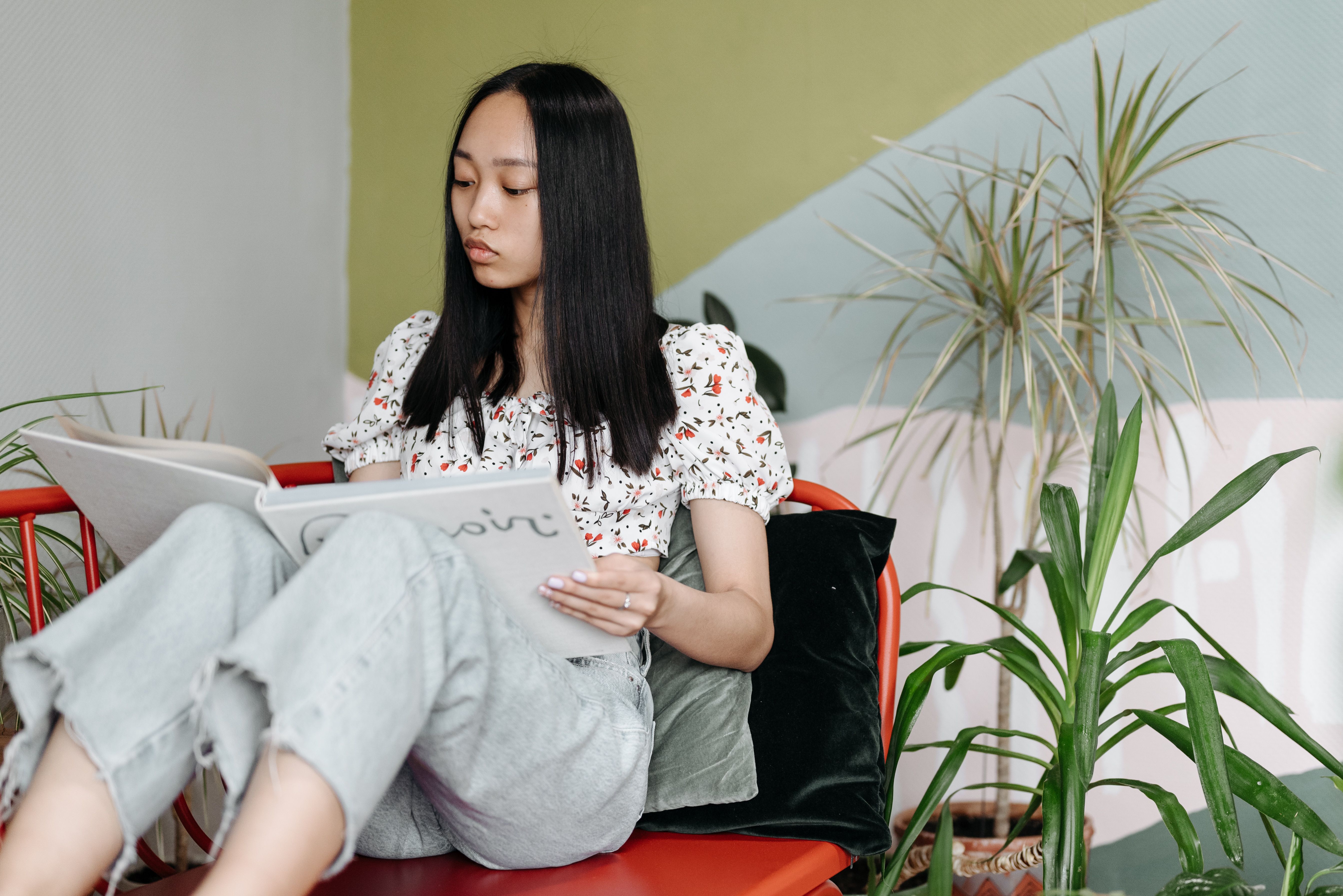 A Woman Reading a Book · Free Stock Photo