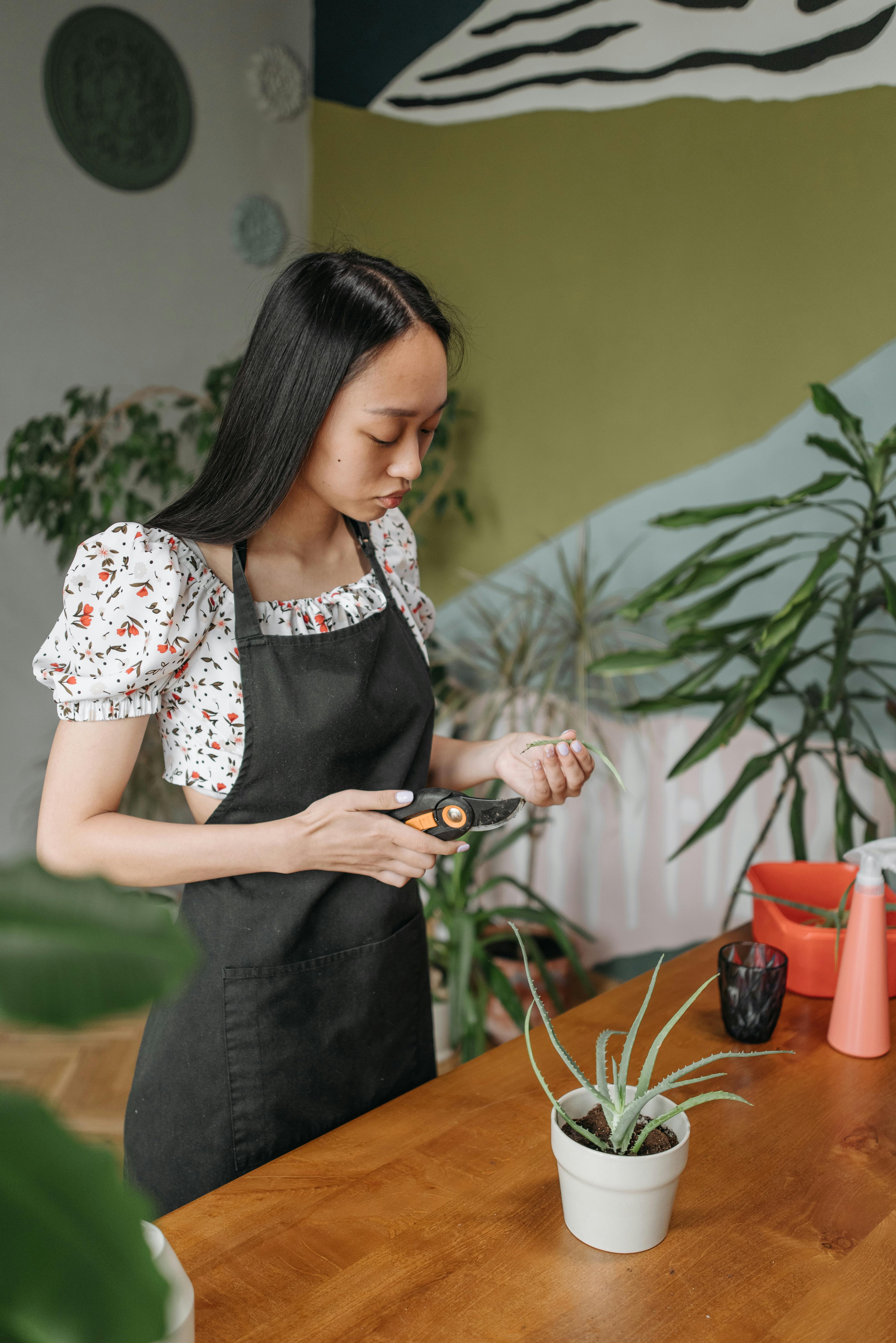 Free stock photo of adult, black hair, botany, care, casual clothing ...