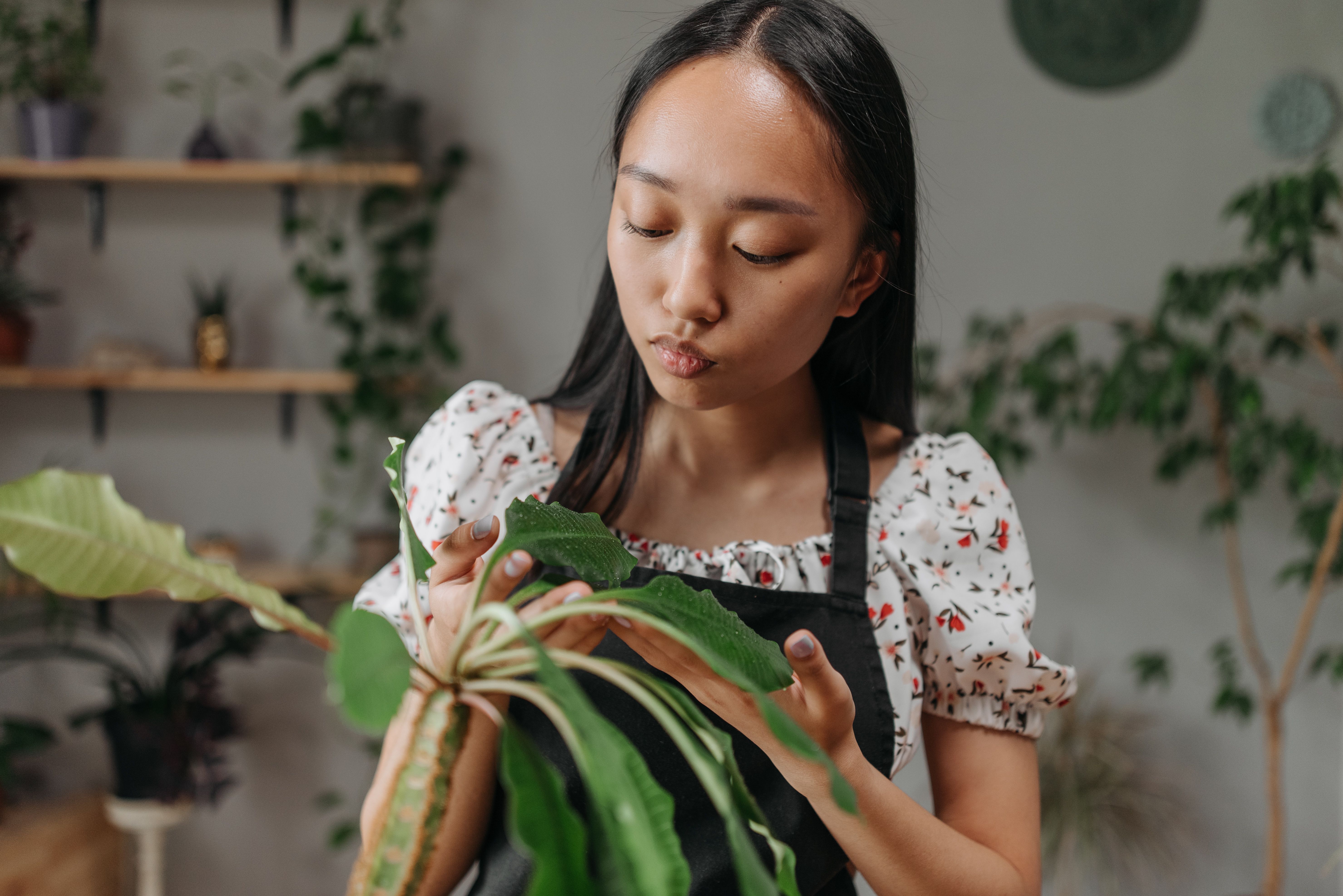 Free stock photo of black hair, care, fingers, front view, gardening ...