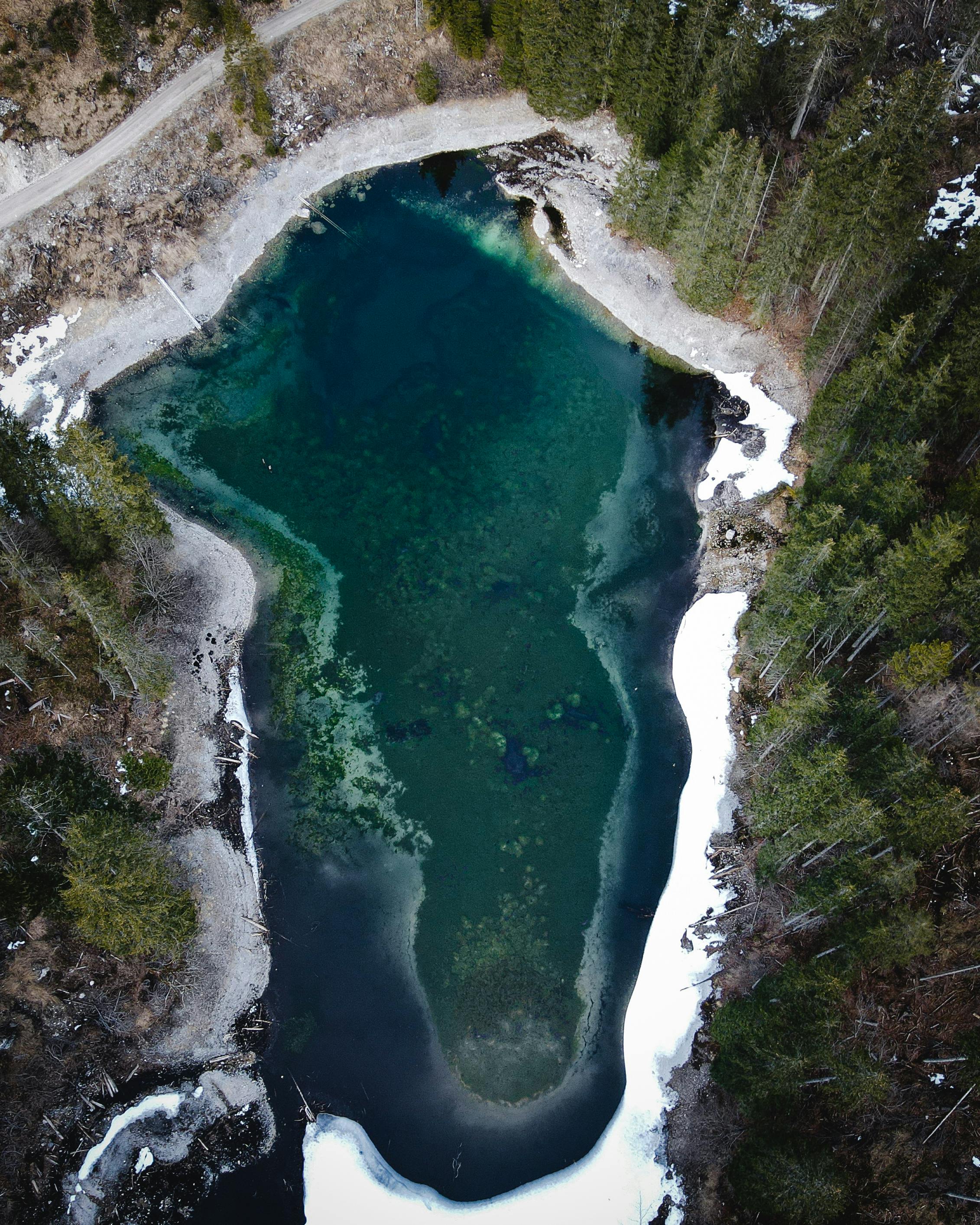 Aerial View of Lake Near Trees · Free Stock Photo