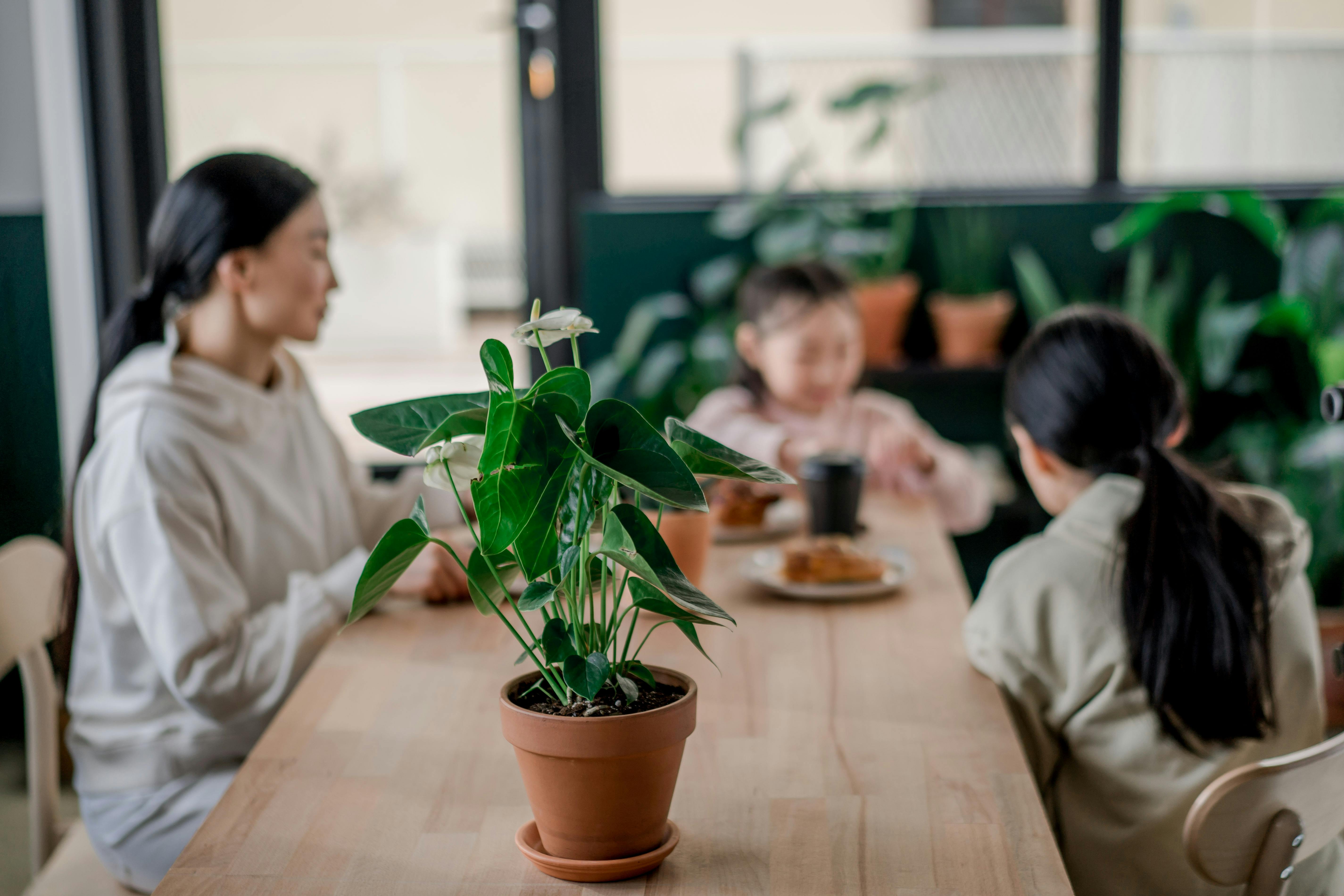 Pots And Connection Photos, Download The BEST Free Pots And Connection ...