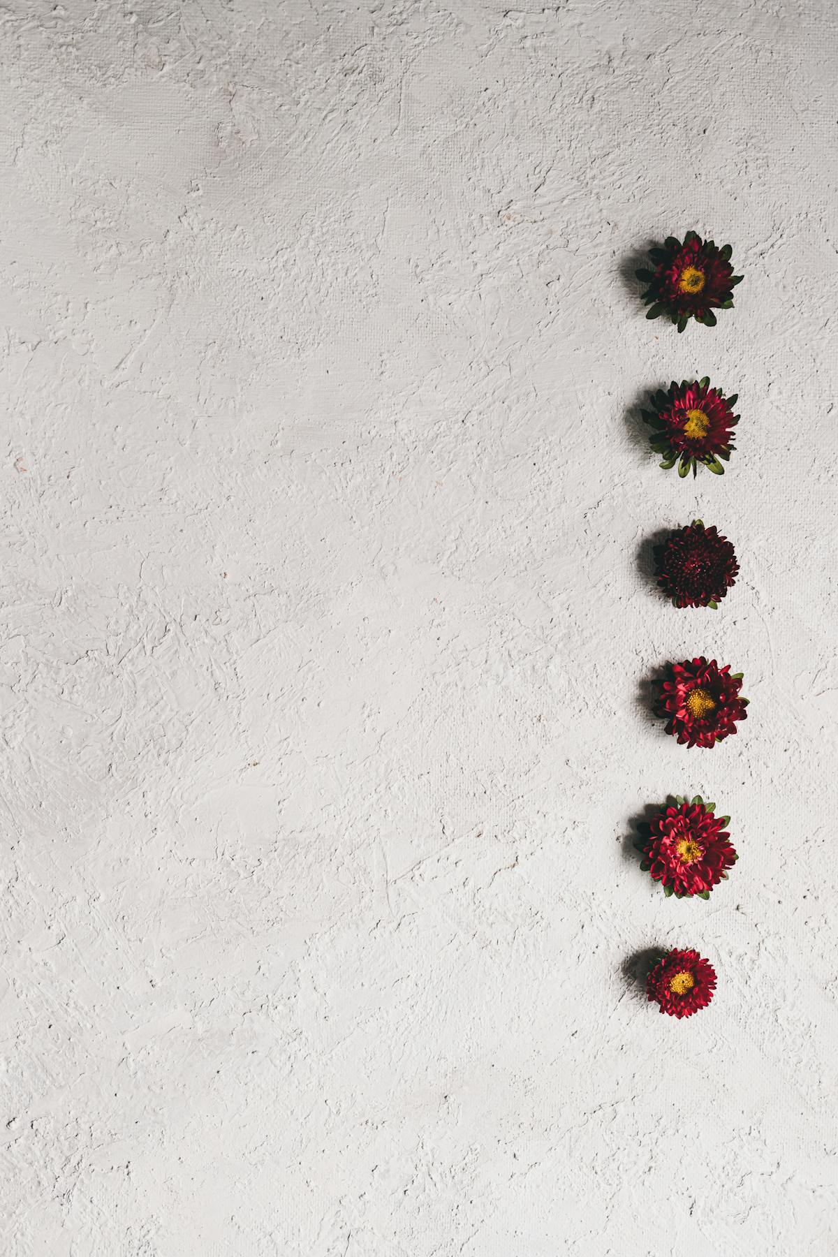 Mood Fresh Wallpaper Photos, Download The BEST Free Mood Fresh ...