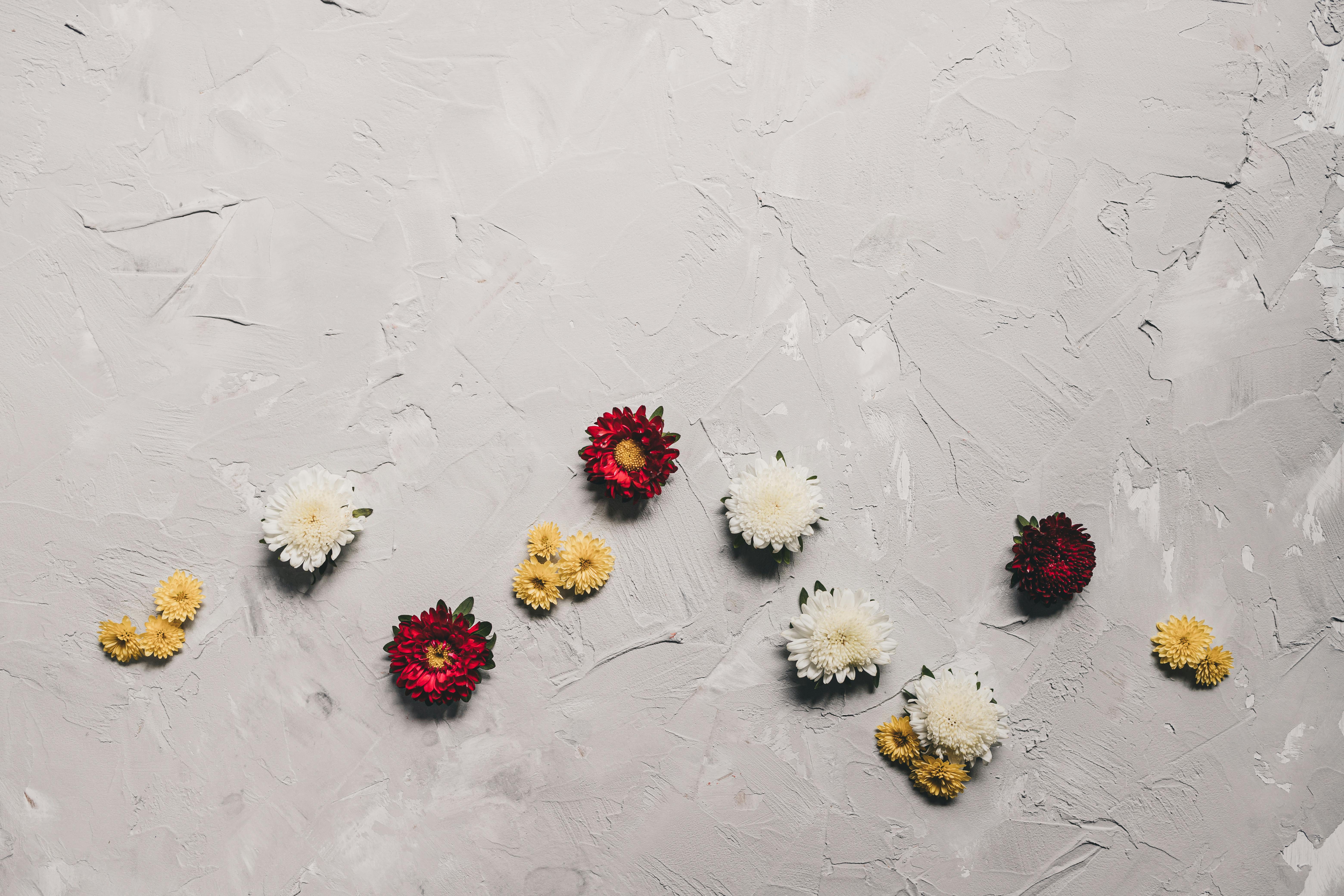 100.000+ Foto Wallpaper Desktop Simple Terbaik · Unduh Gratis 100% ...