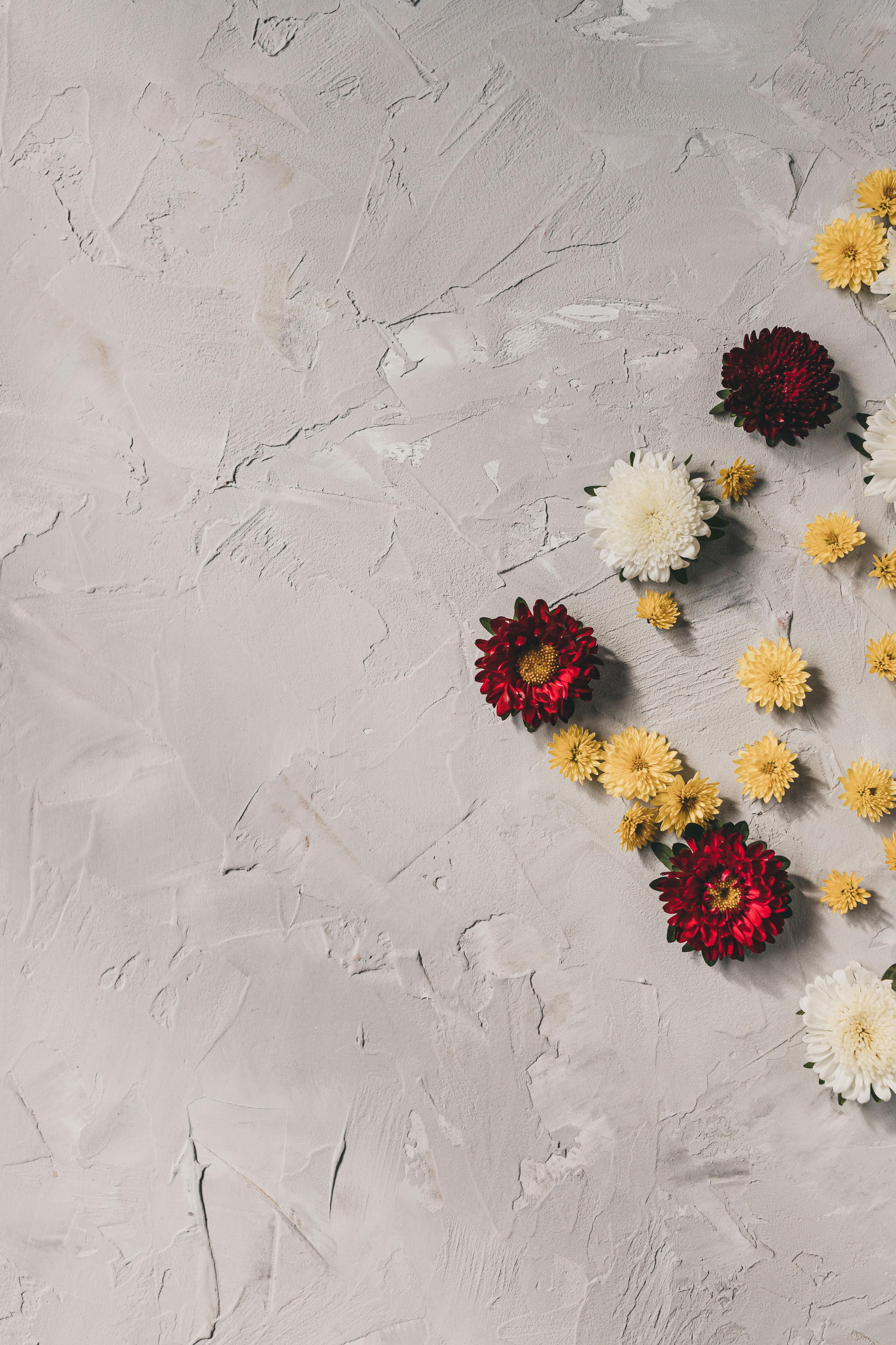 Flowers Backdrops Photos, Download The BEST Free Flowers Backdrops ...