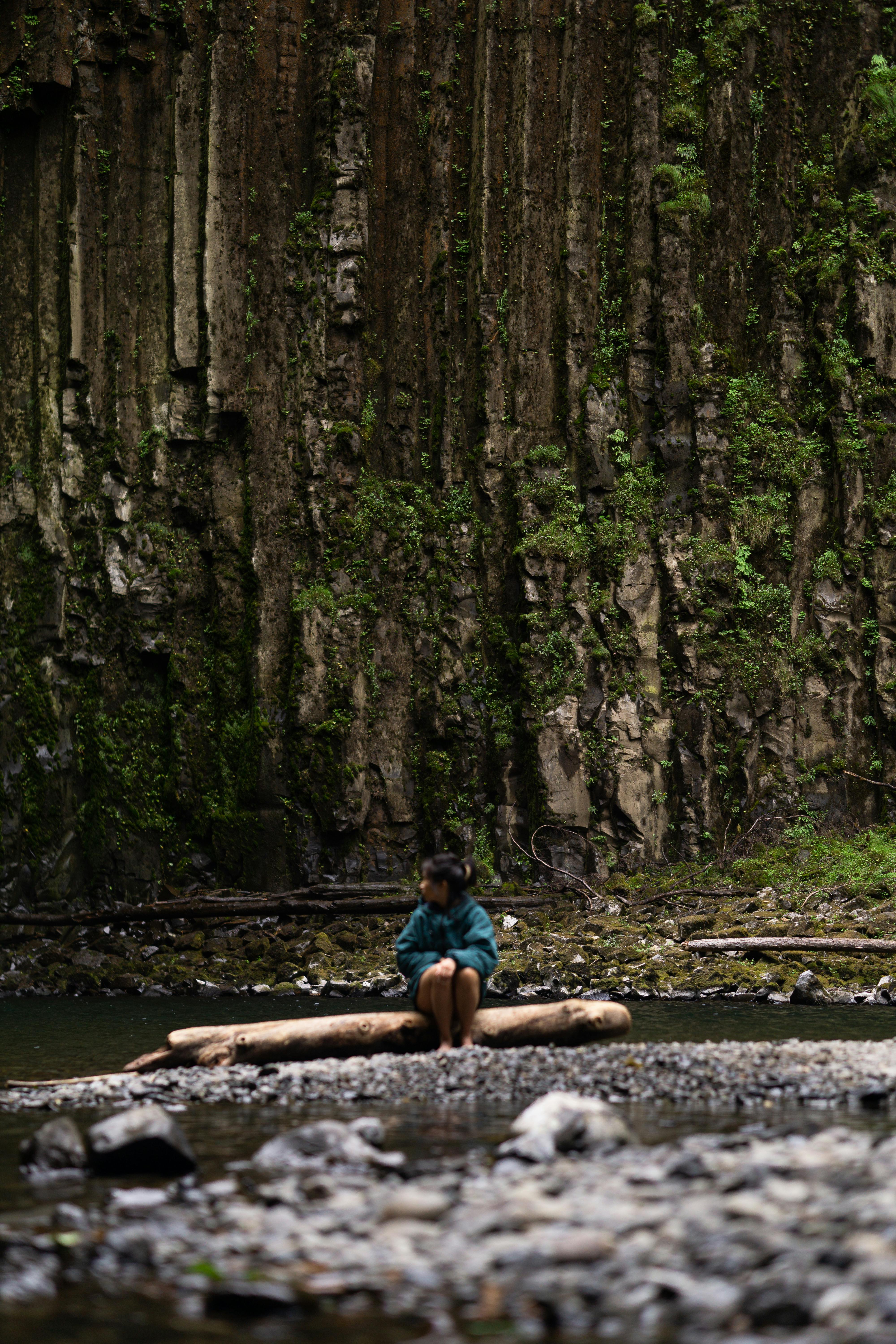 A Person Sitting on a Log · Free Stock Photo