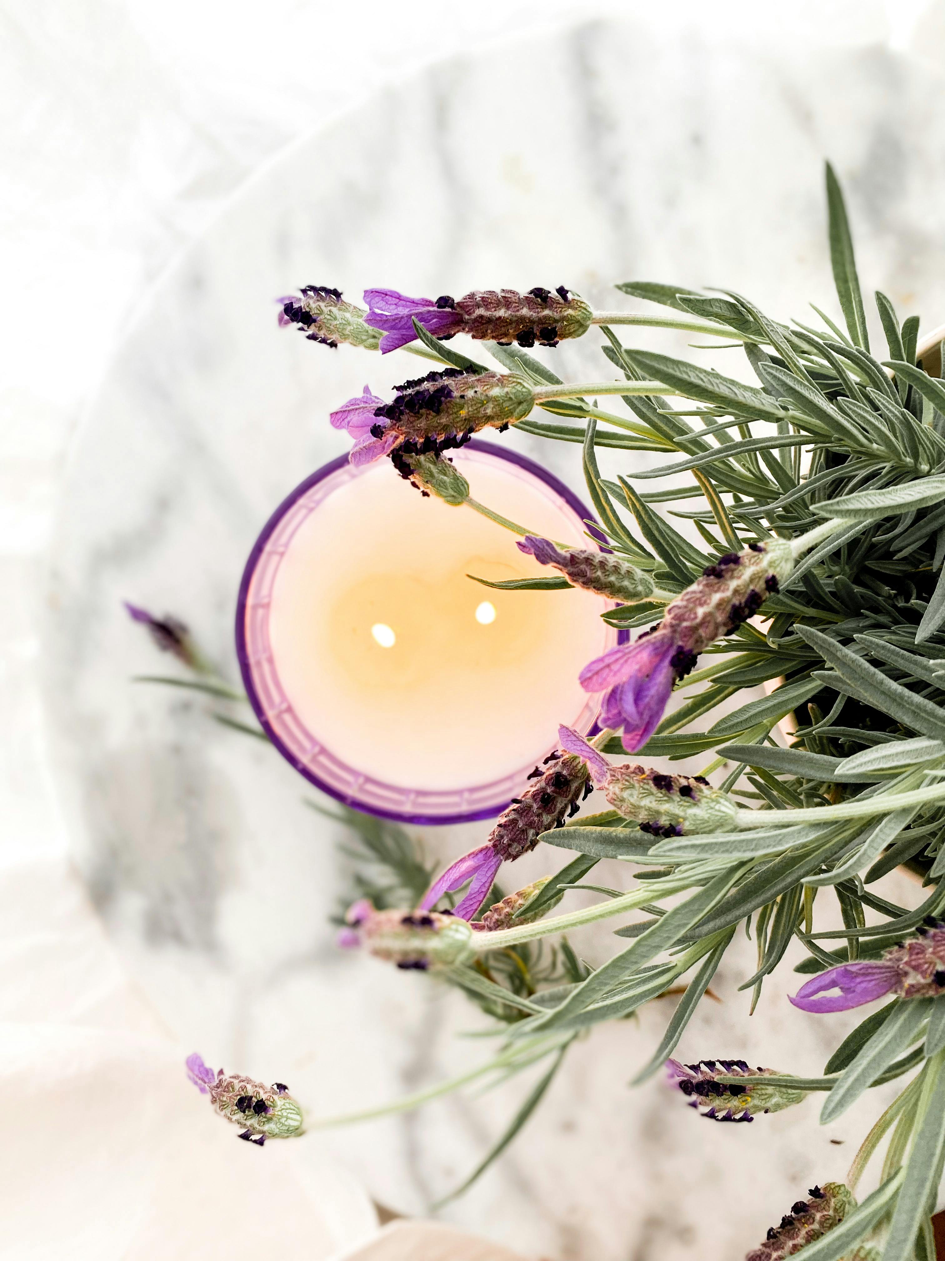 Lavender Window with Shutters · Free Stock Photo