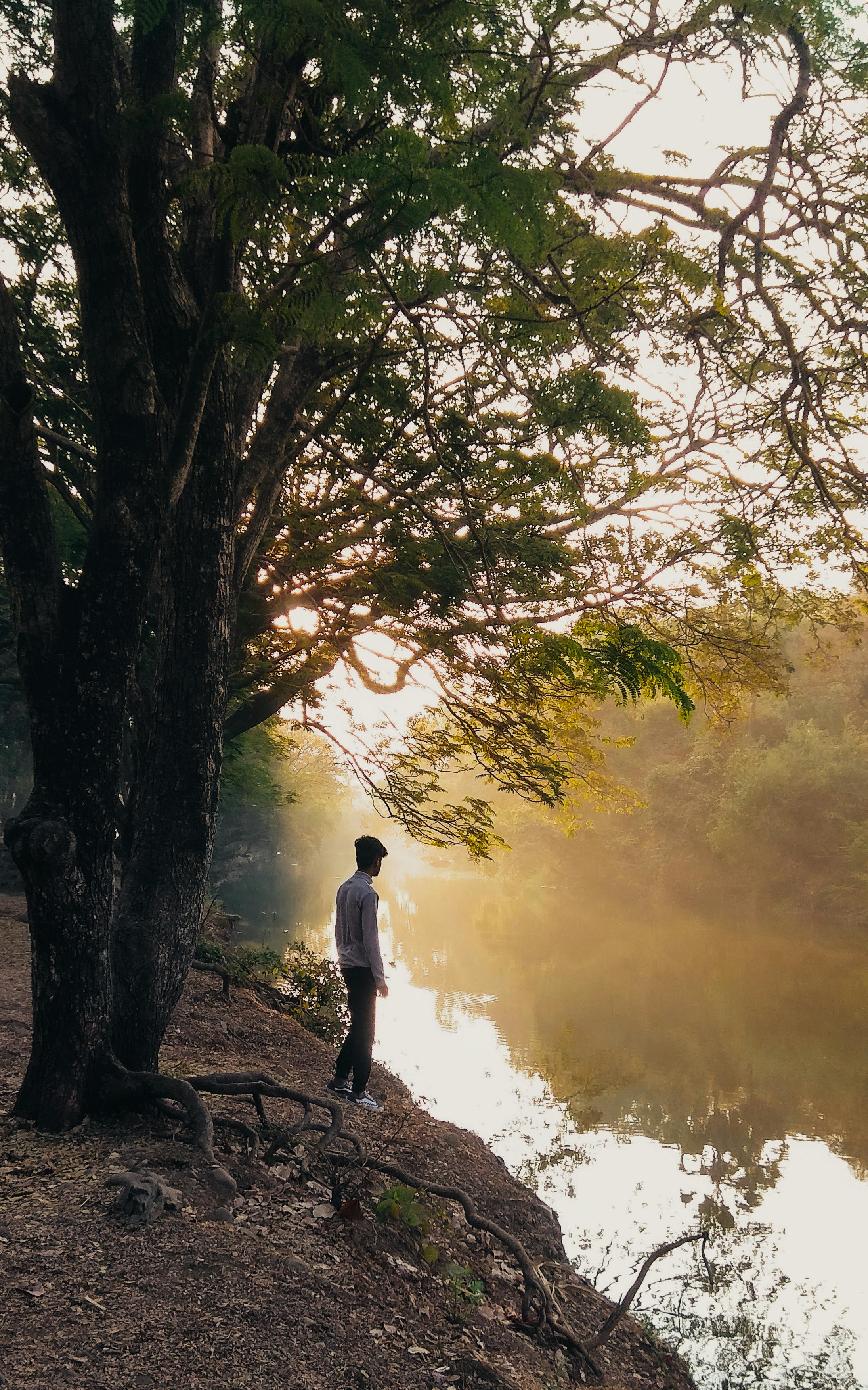 Man Standing Near Tree In Front of a River · Free Stock Photo