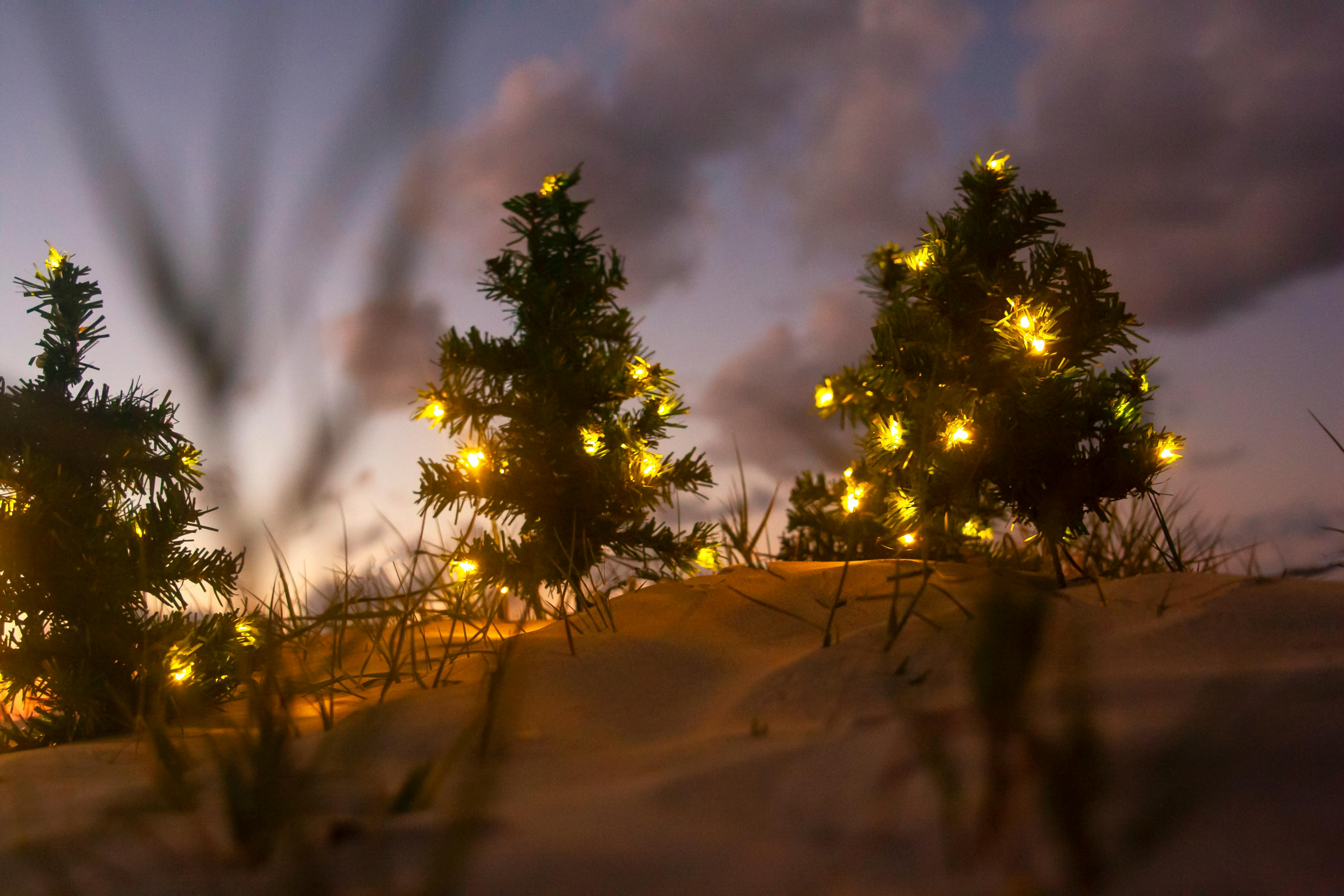 Photo of Red and Black Skateboard · Free Stock Photo