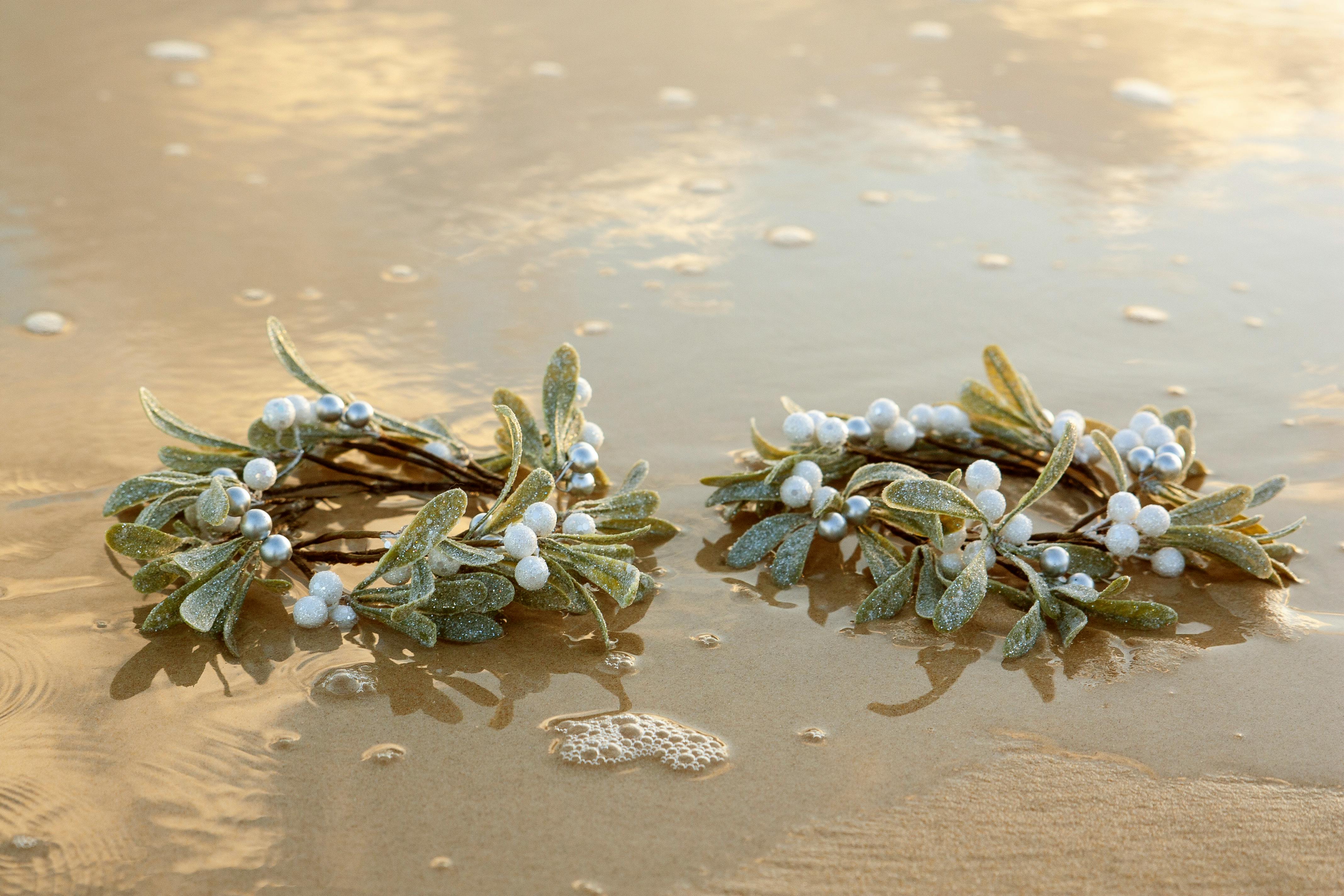 Two Mistletoe Rings on a Beach · Free Stock Photo