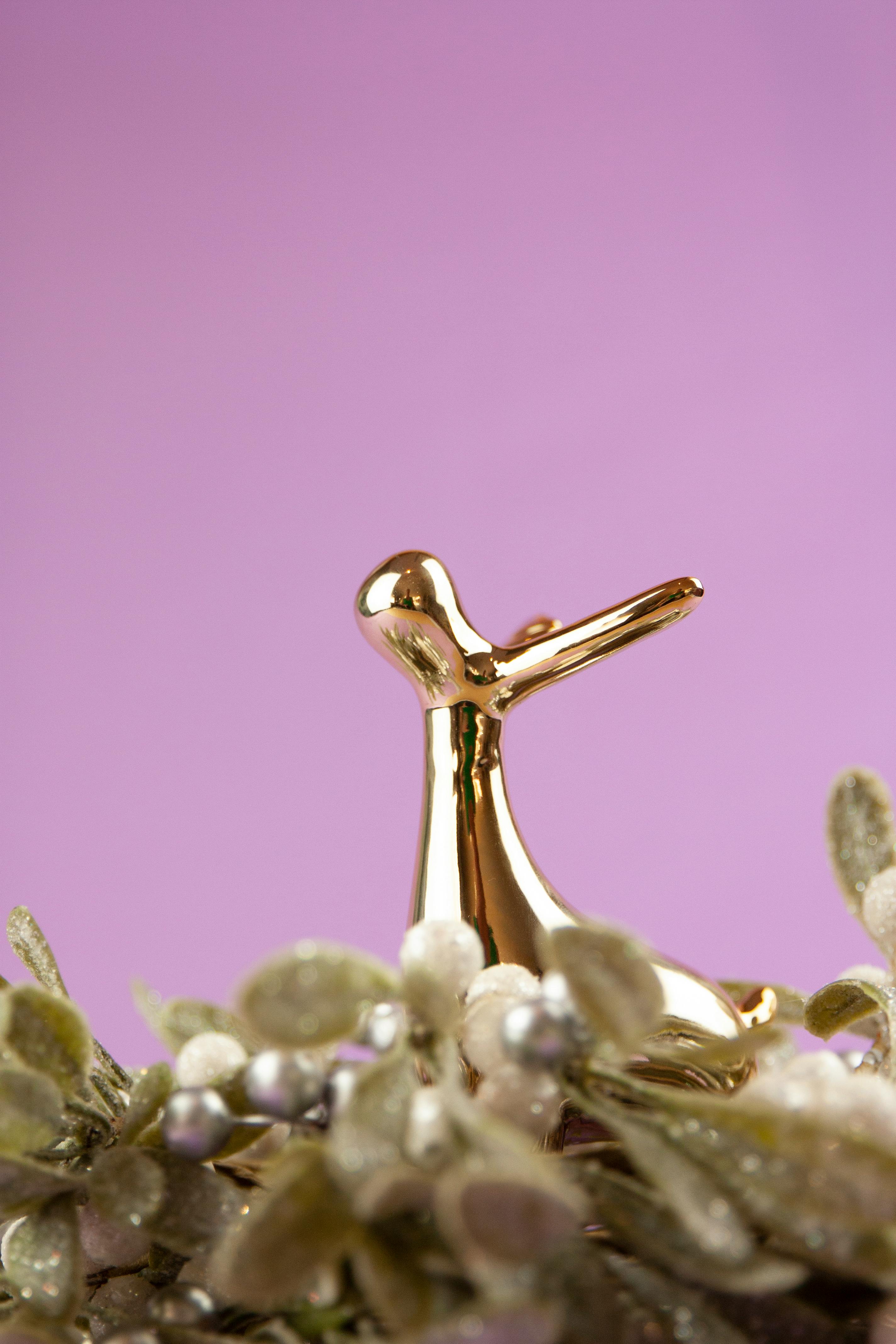 Mistletoe Photos, Download The BEST Free Mistletoe Stock Photos & HD Images