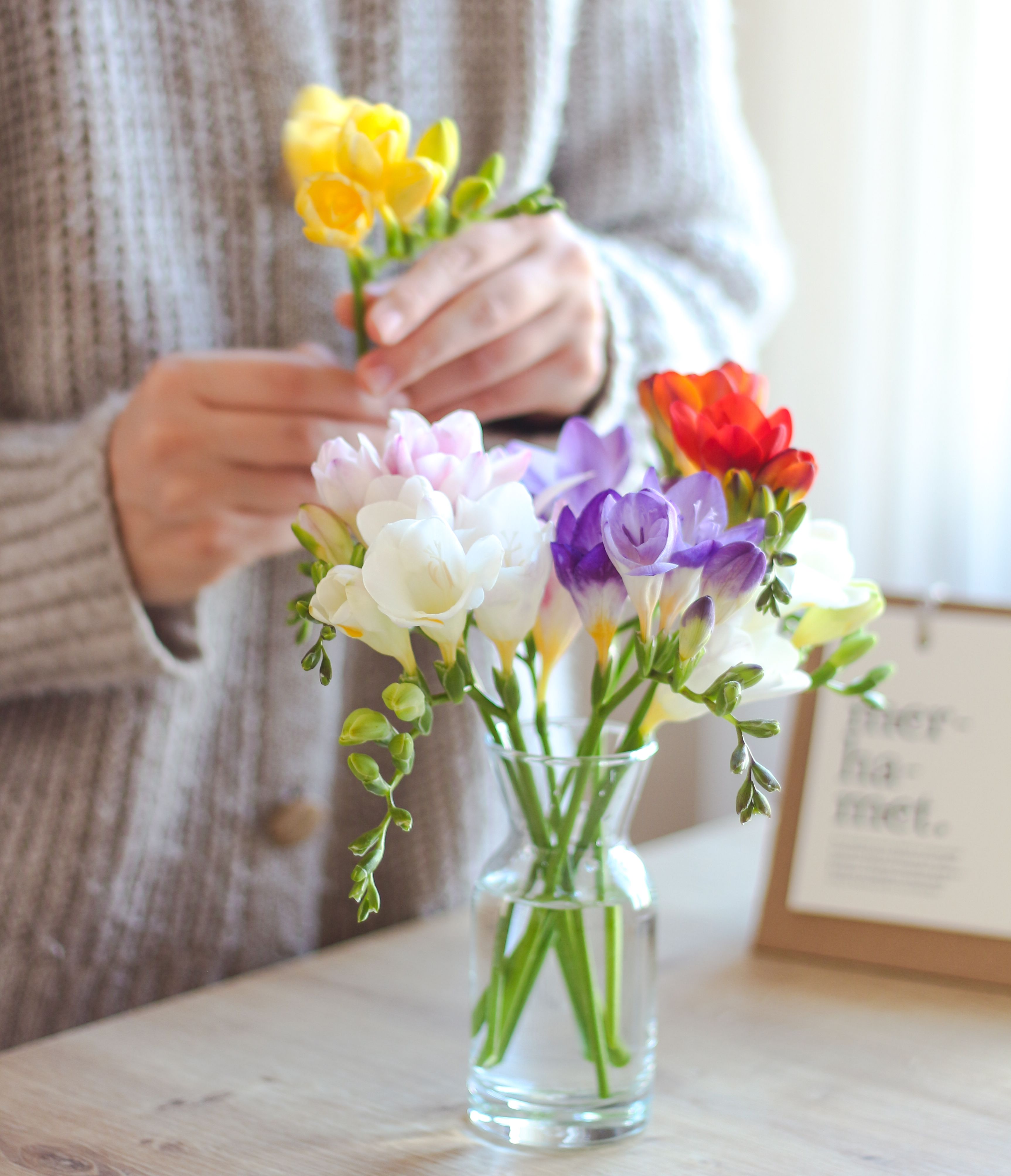 Photo of Freesia Flowers in a Glass Vase · Free Stock Photo
