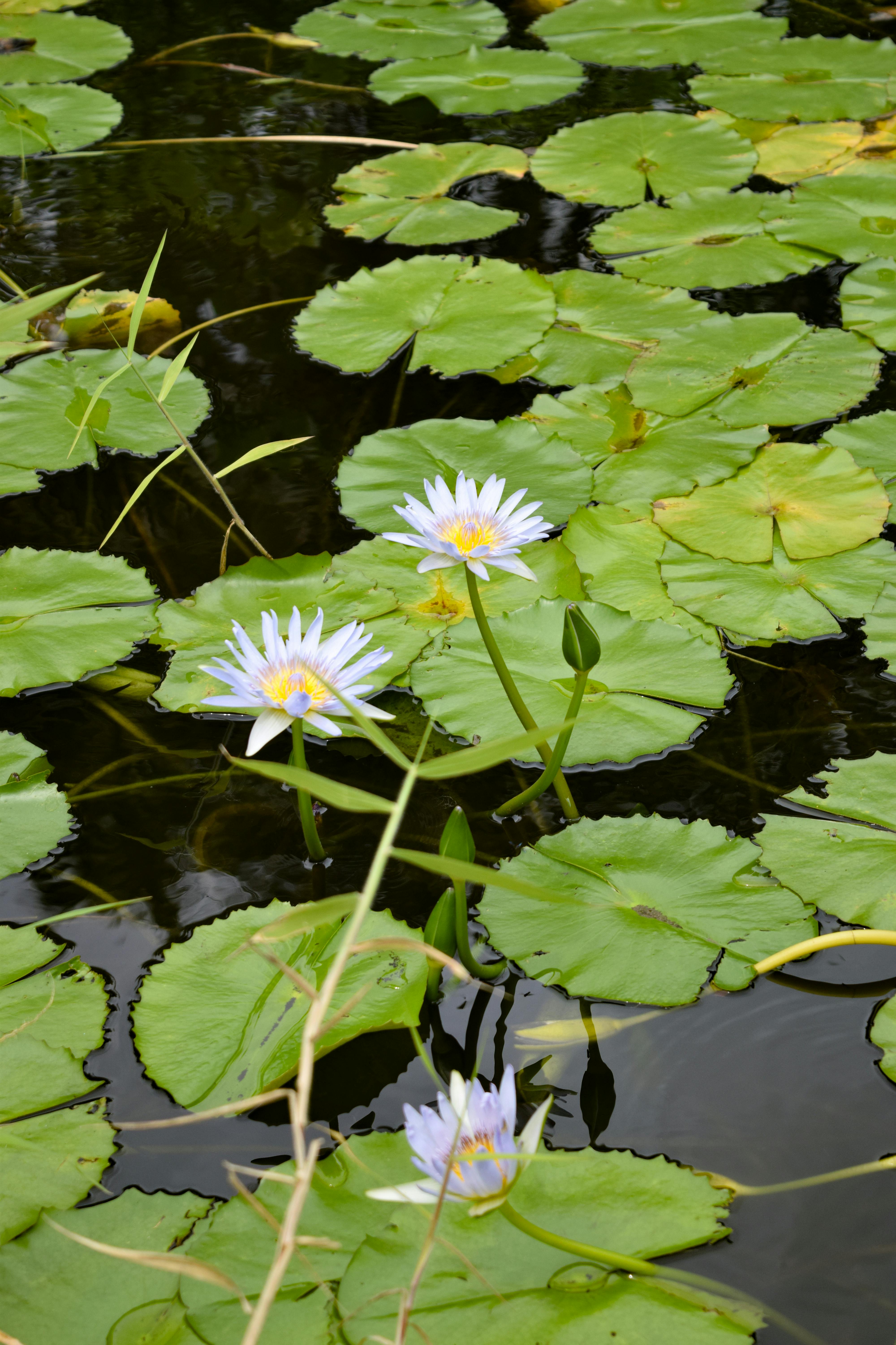 My best photos 21 Photos & Videos Collected by Daniel Absi